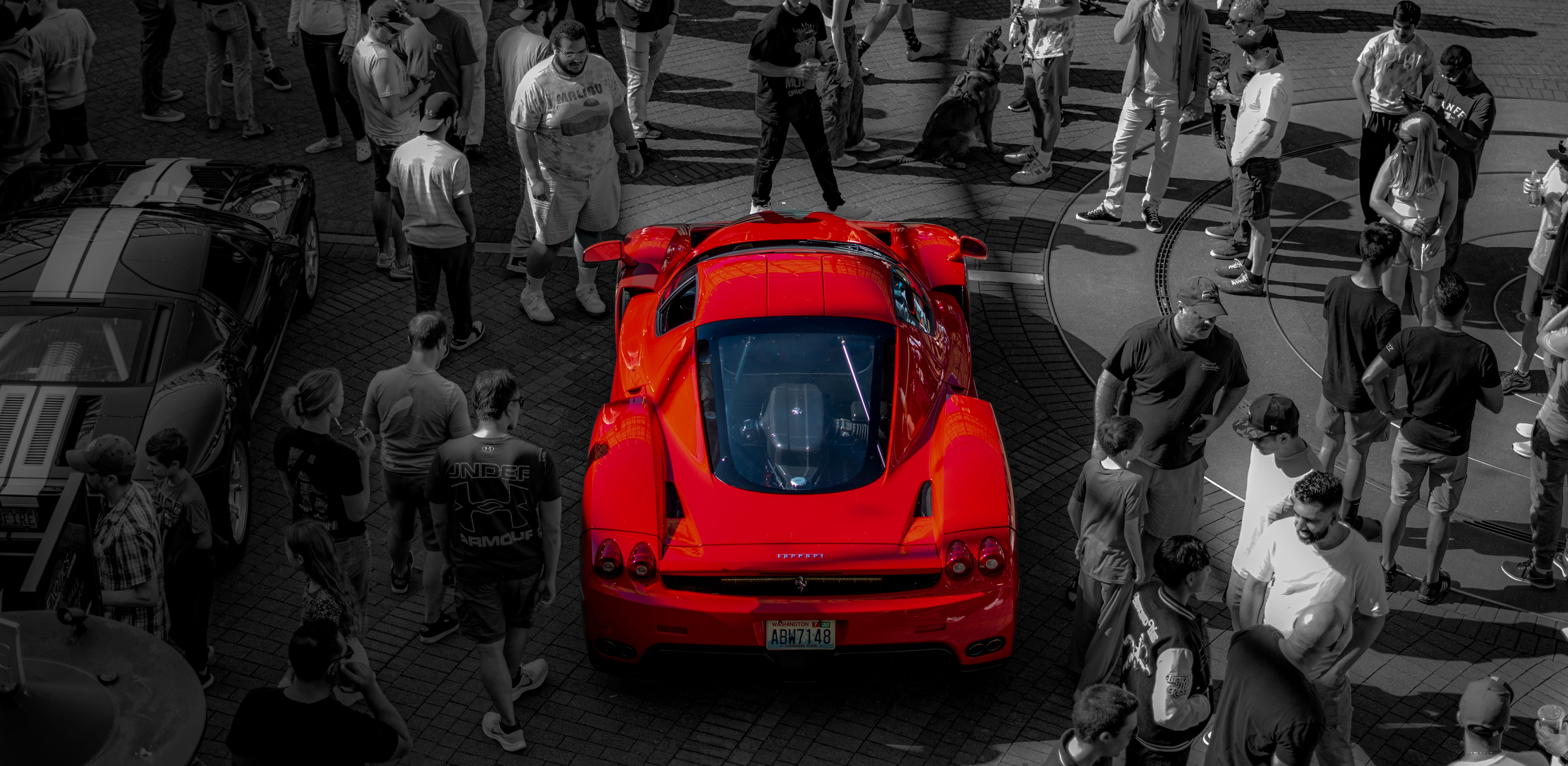 TVF Auto Group LLC | A Dealer For Enthusiasts