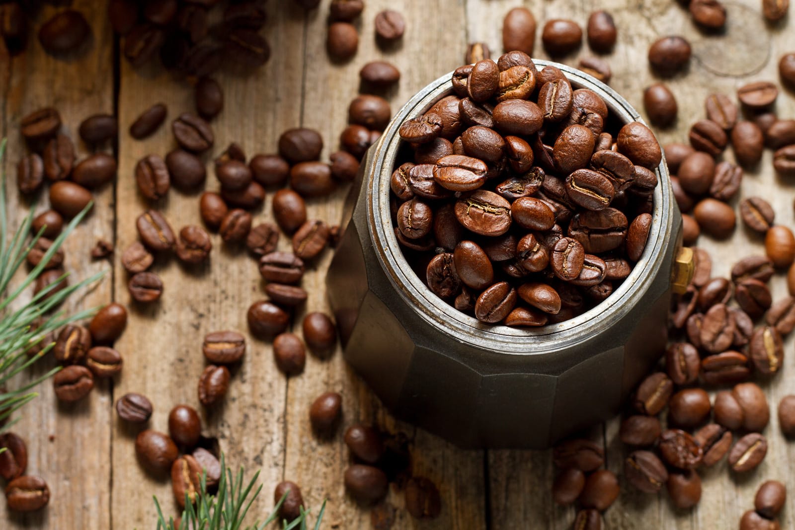 American Roasters Coffee Company | Coffee E-Commerce Shop | Seattle