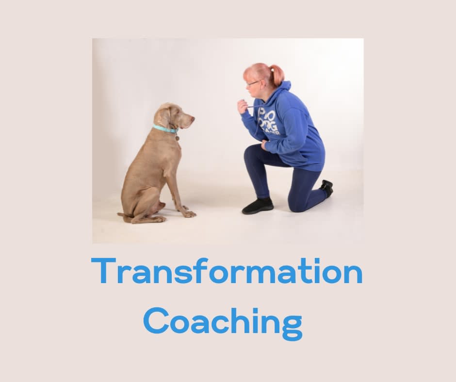 Transformation Coaching - Dog Training - Canine Concept Walks ...