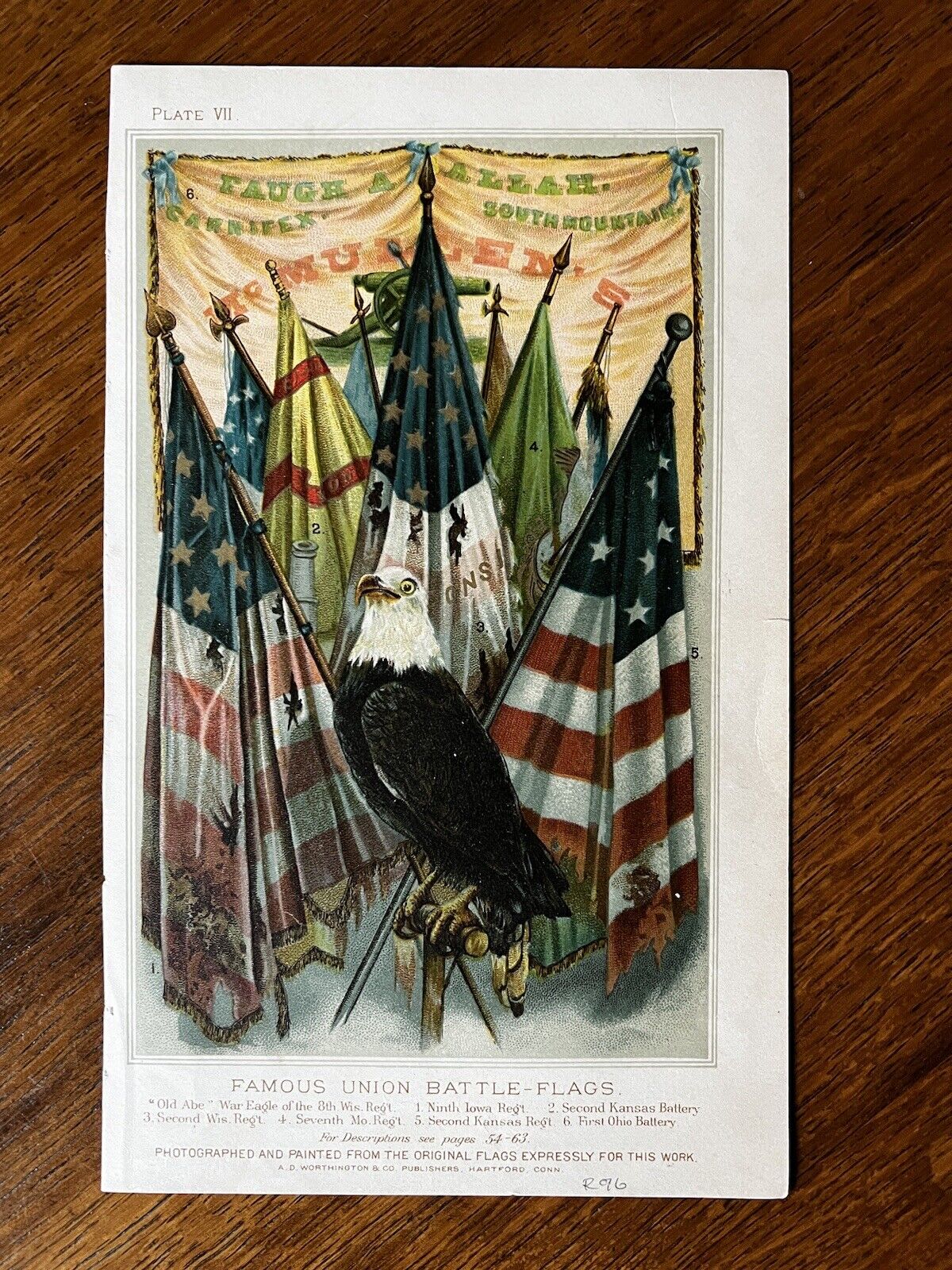 Original Antique Chromolithograph. “Old Abe” War Eagle. - American ...