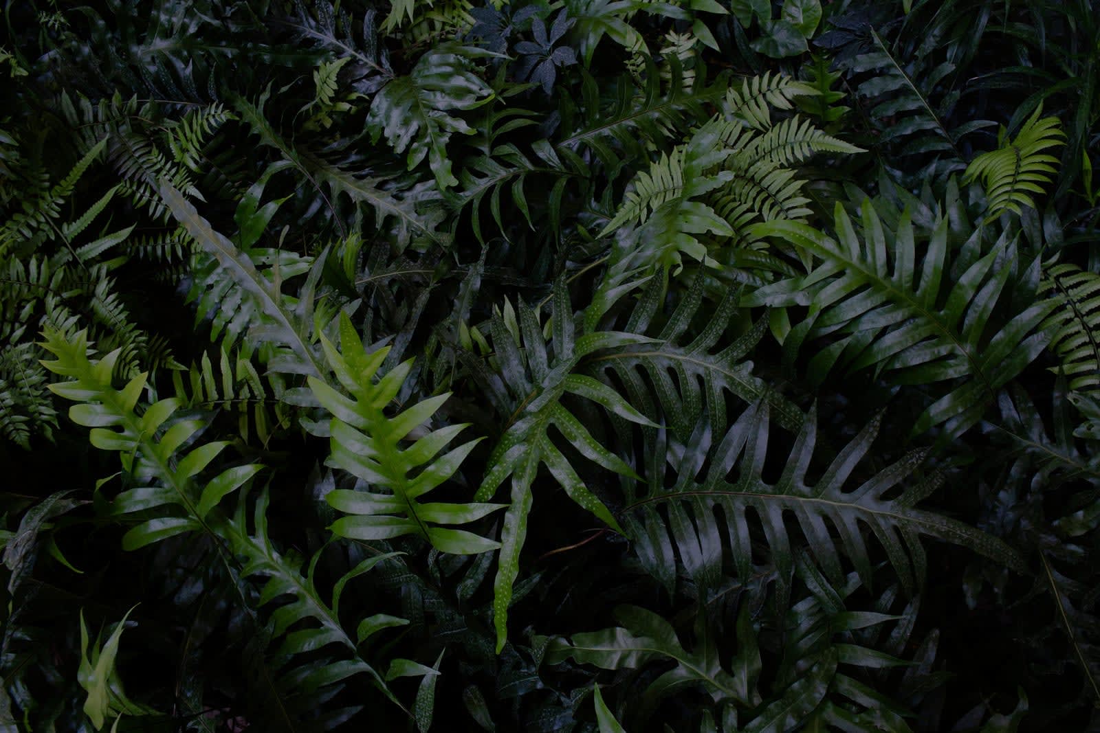 SMS International Inc - Online Household Products Shop from NYC