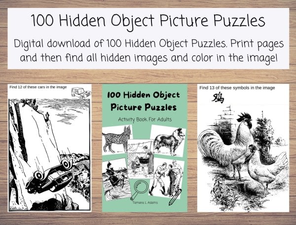 100 Hidden Object Picture Puzzles - Adult Activity PDF Printables ...