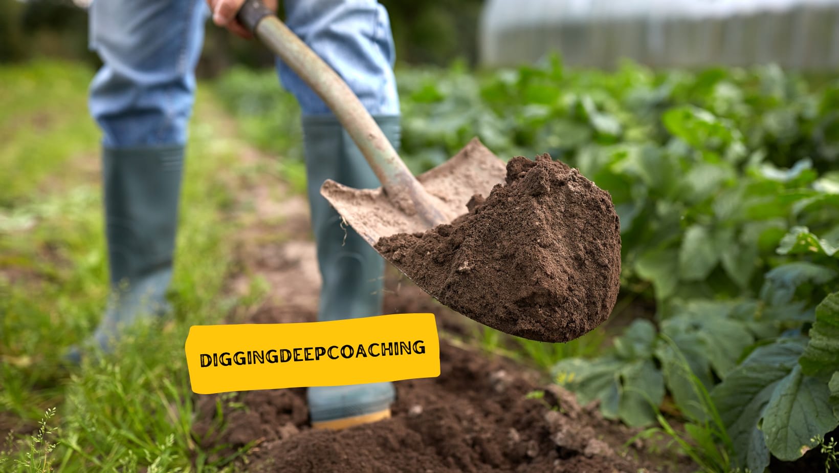Digging Deep Coaching | Paterson Life Coaching