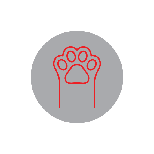 Animal Rescue - Animal Rescue Solutions - Wagon Tailz Animal Rescue ...