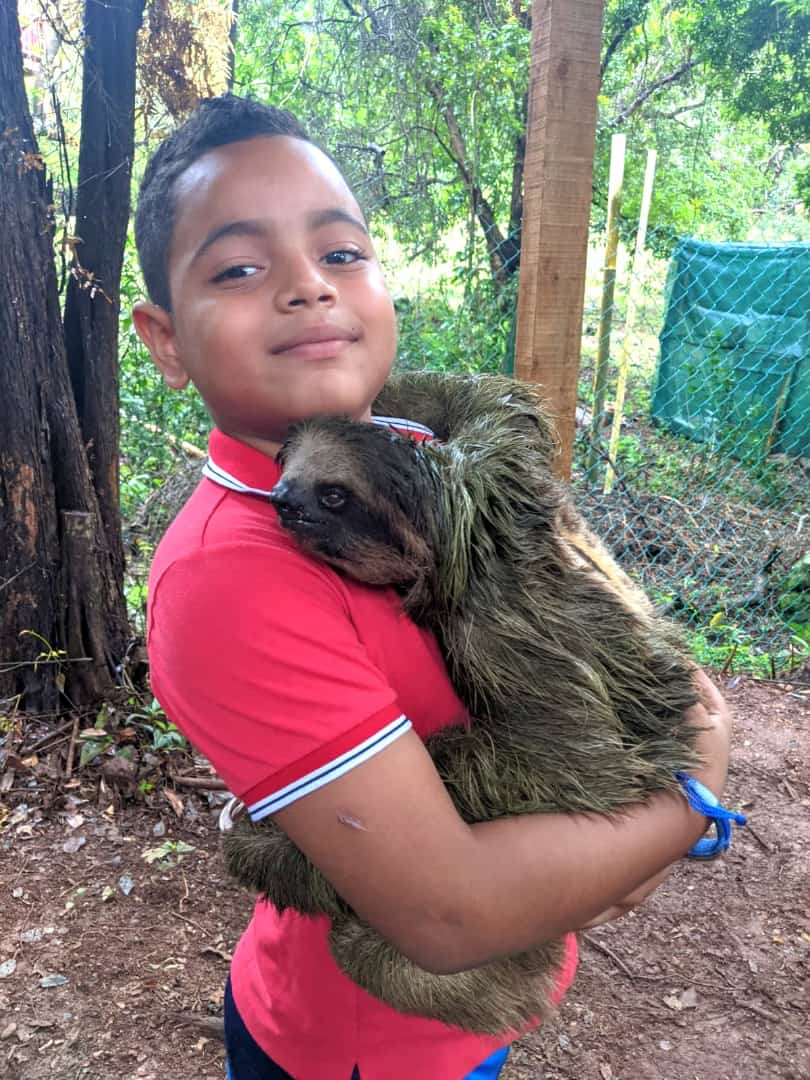 Monkeys and sloths hang out ,with beach break. - Tour Guide Services