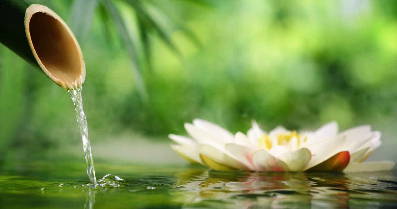 Soothing Touch Massage 3 | Massage Therapist Salon | Brunswick