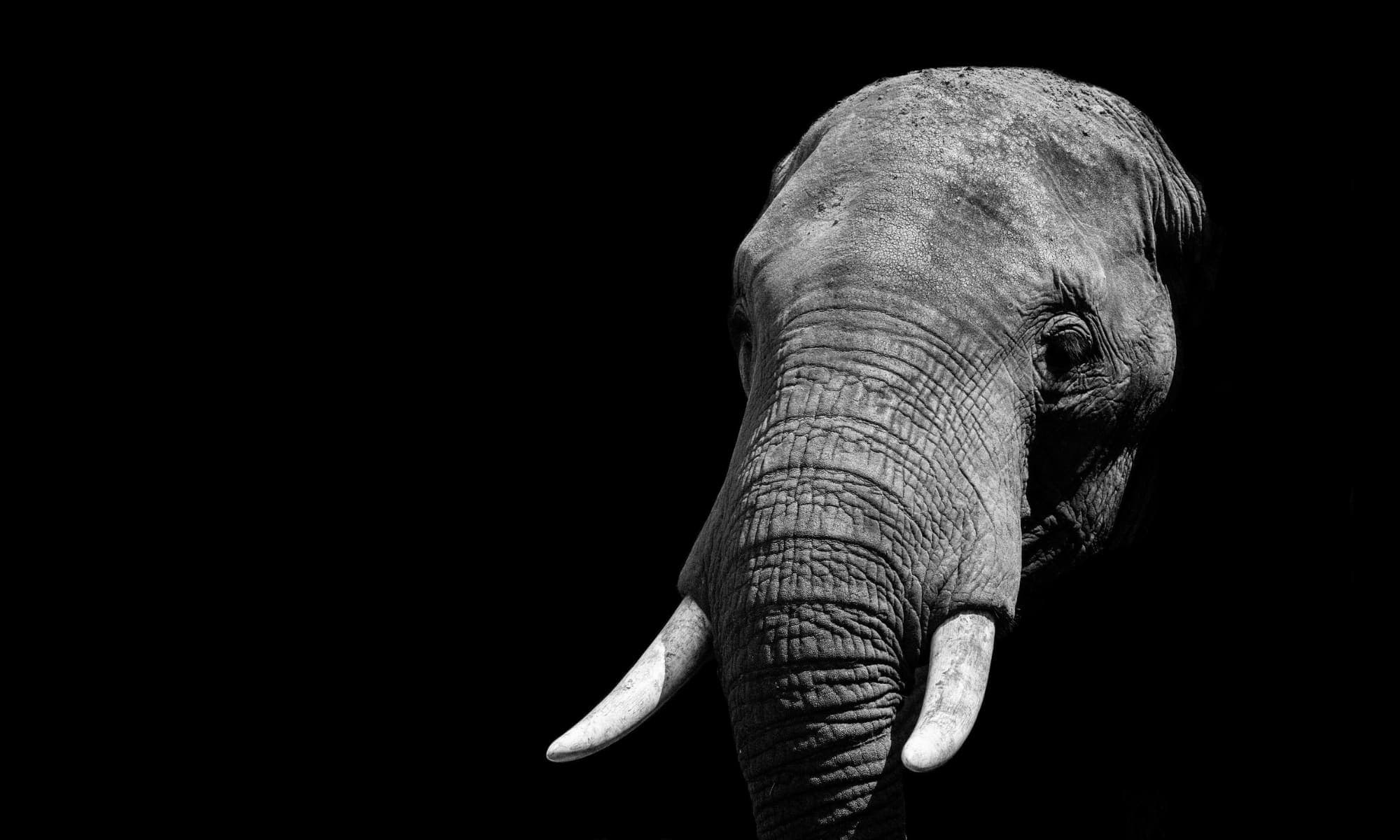 Sentient Law Group | Lawyers in Colonia & New York