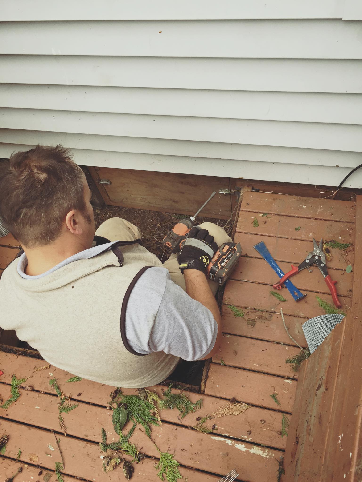 Your Expert in Rodent Control in Seattle - Seattle Rodent Guy | Pest ...