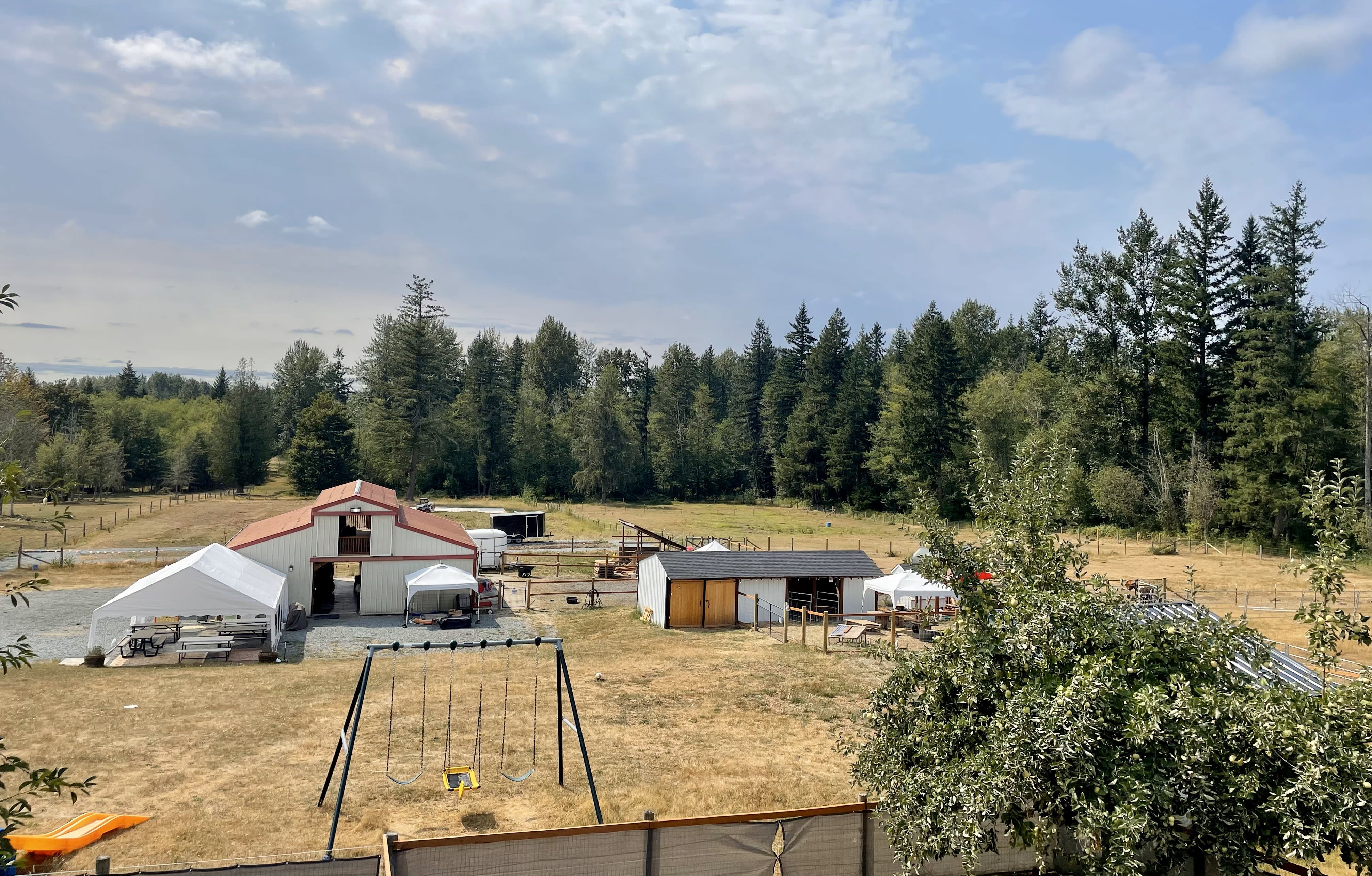 Opal Meadows Farm, LLC - Agri-Tourism Farm in Graham