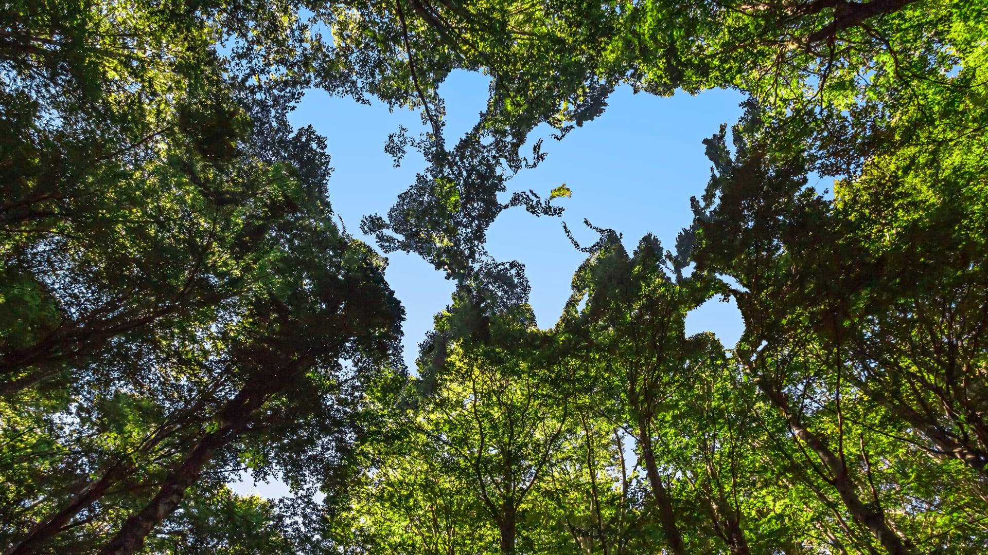 ECC Environmental | Environmental Consulting & Testing in Atlanta