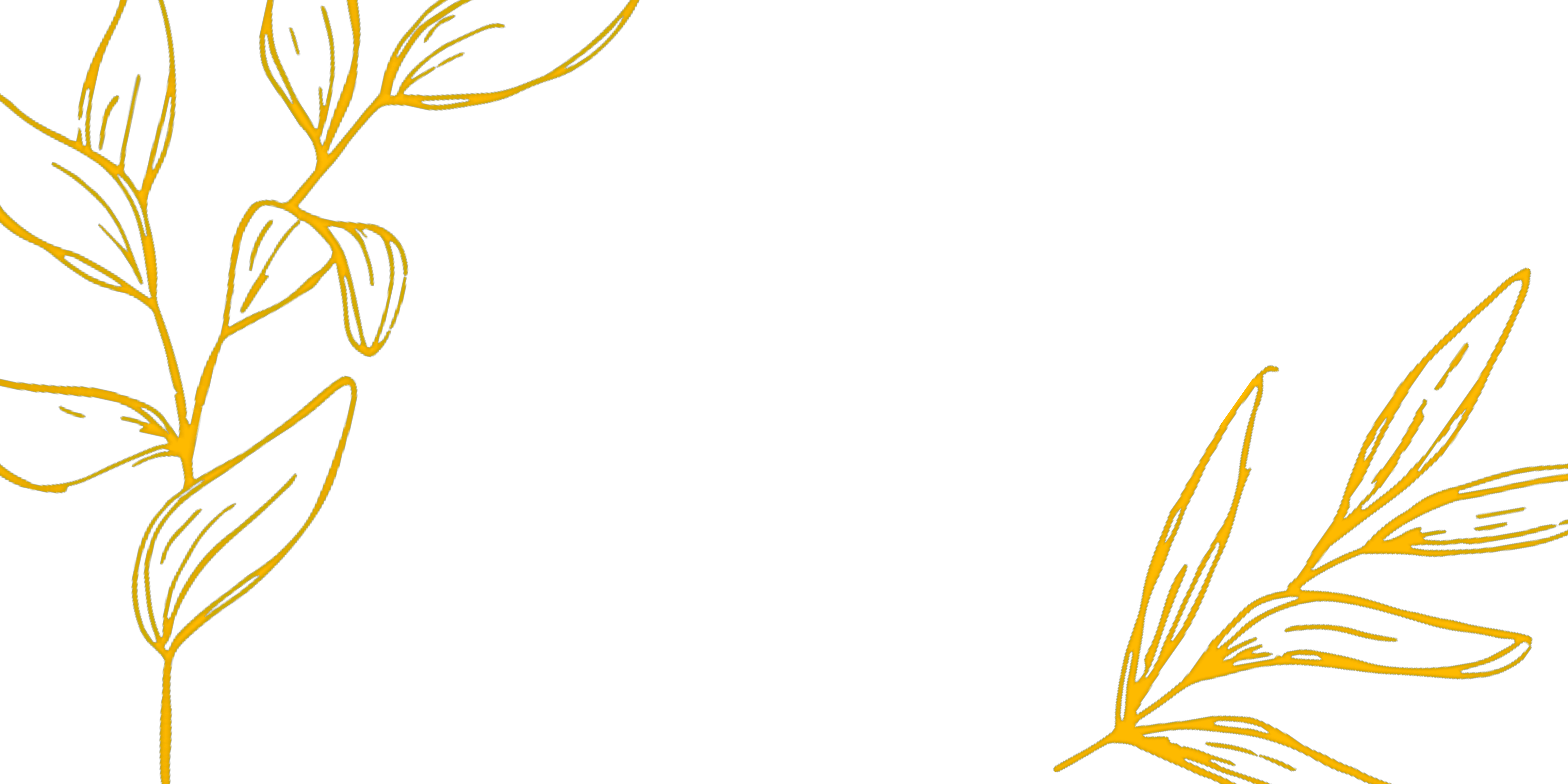 Dreamcolor Creative Studio - Content Creation in Chicago