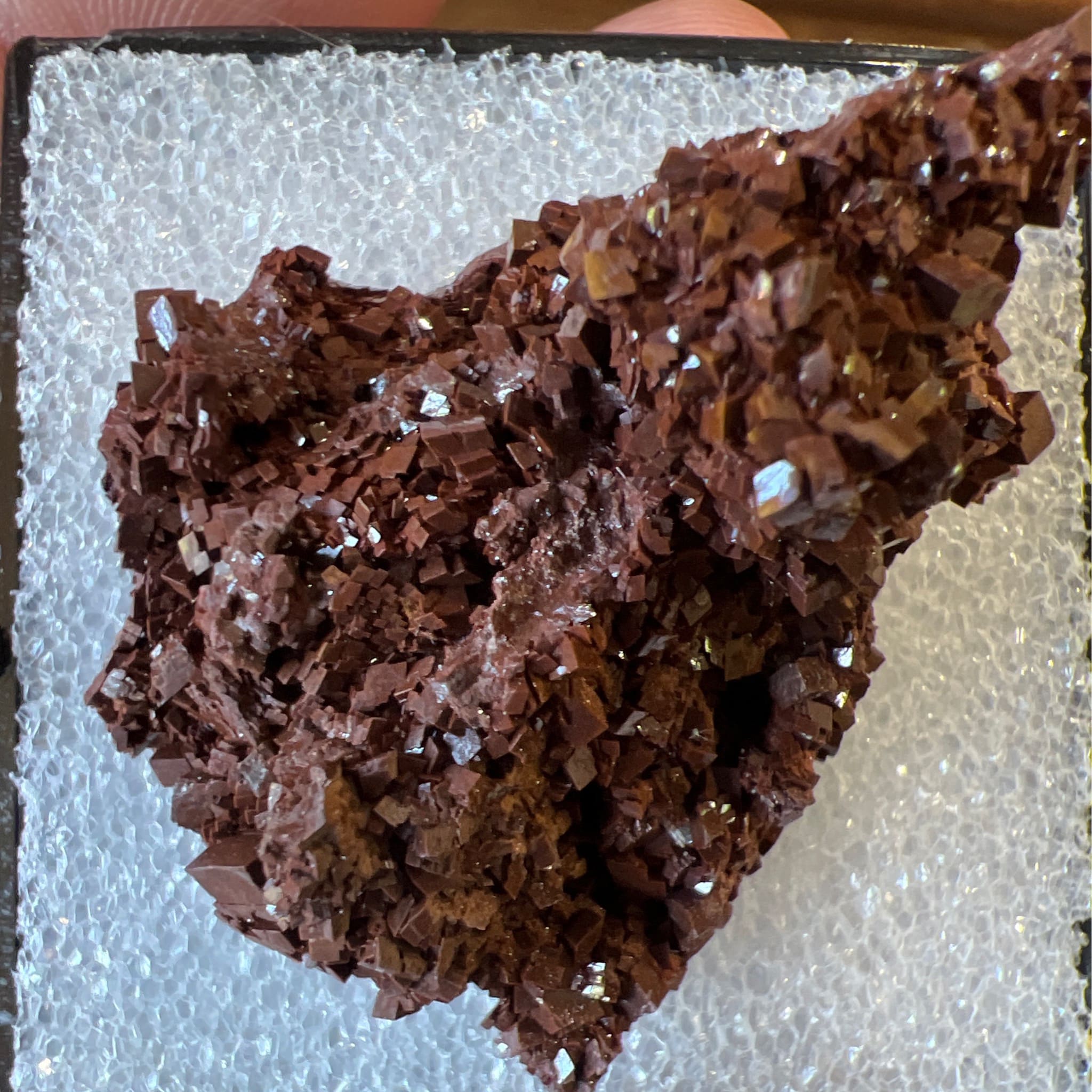 The Finest Rocks, Minerals, and Fossils Store in Reno - Rock Decor ...