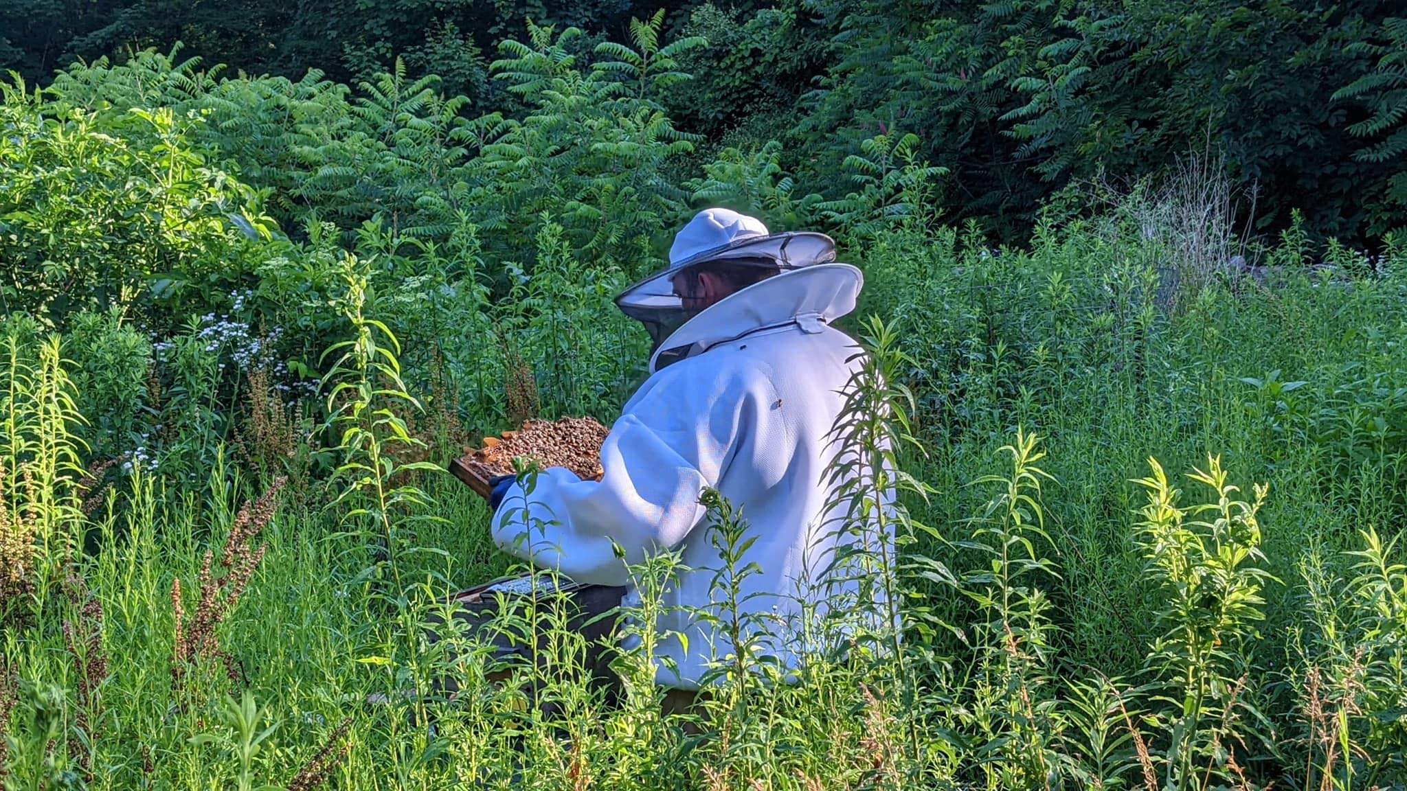 Decatur Ridge Apiaries | Honey Bee Queens & Nucleus Colonies | Decatur