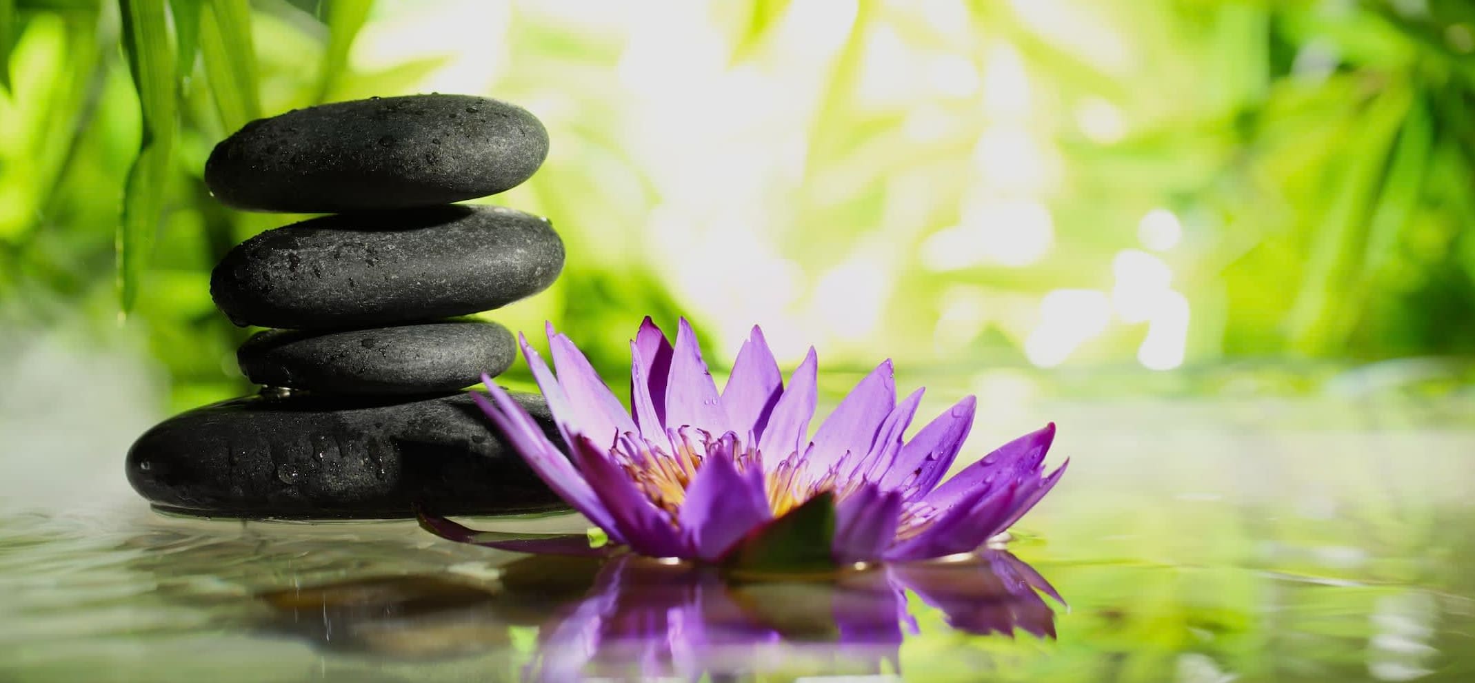 Post‑Op Recovery and Wellness Spa in Artesia | Divine Body Works