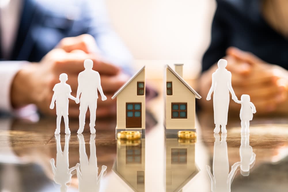 DDTPR Program for Divorced Dads - Consulting & Support Program for ...