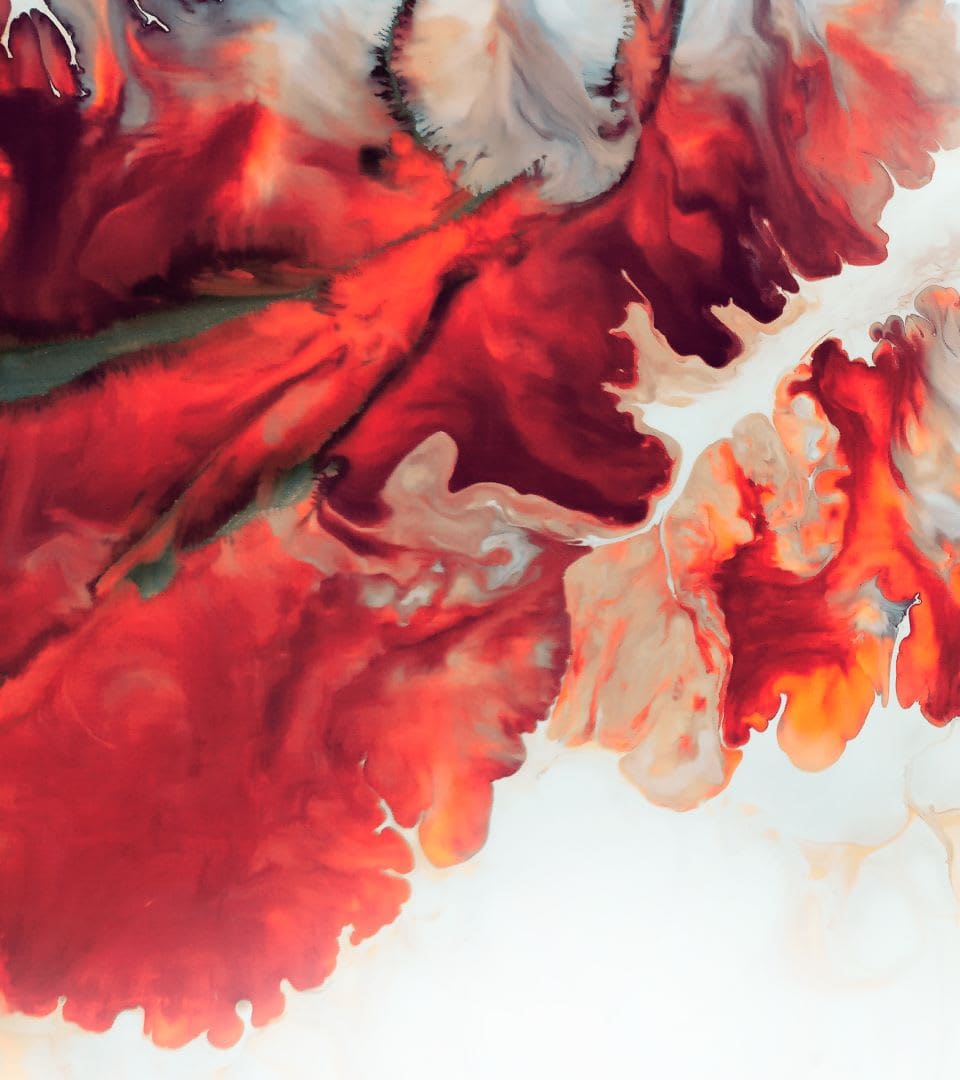 Best E-commerce for Clothing and Art Based in Raleigh - Daniel Shattuck ...