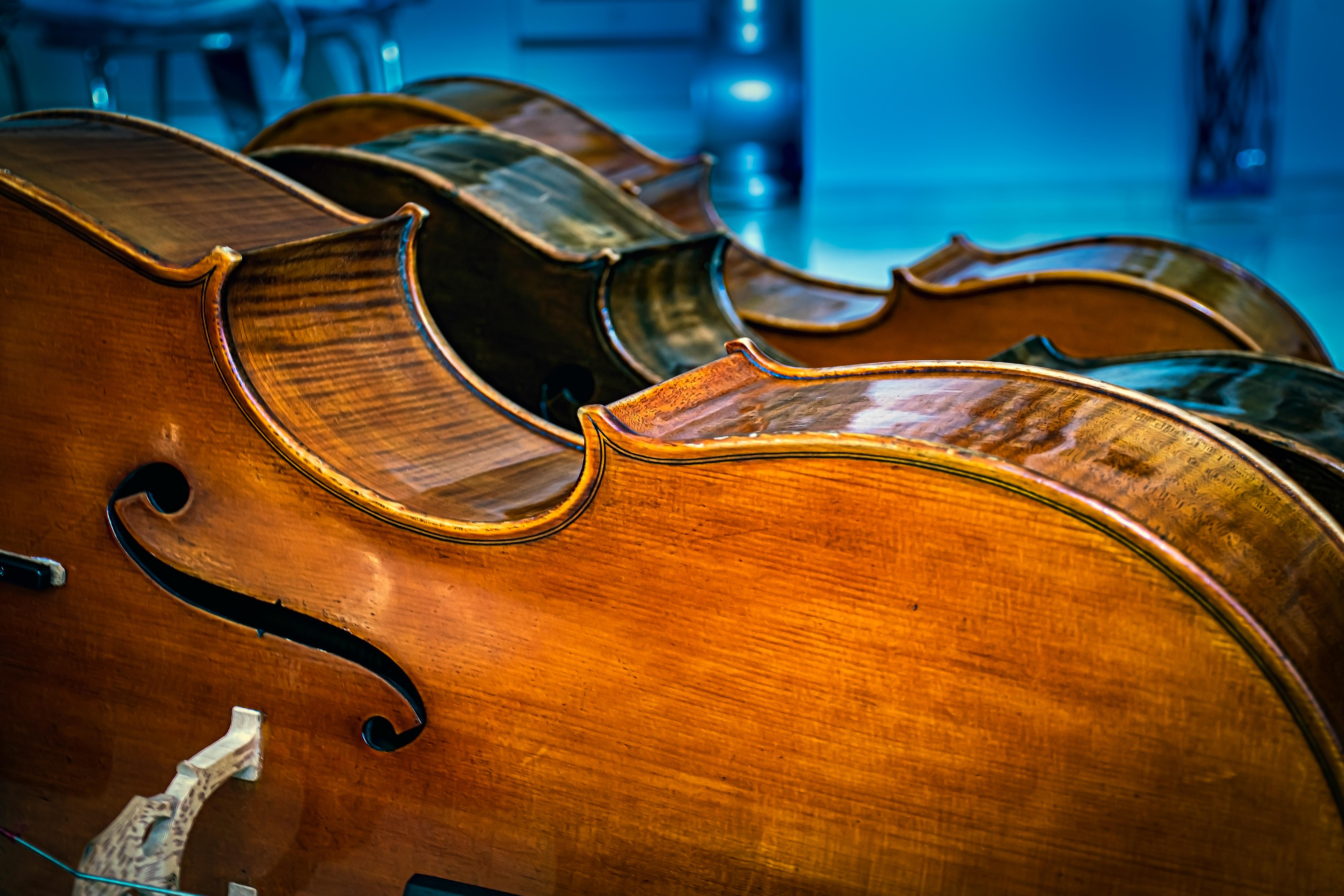 Jonathan Scott Lea | Fayeteville Musician for Hire