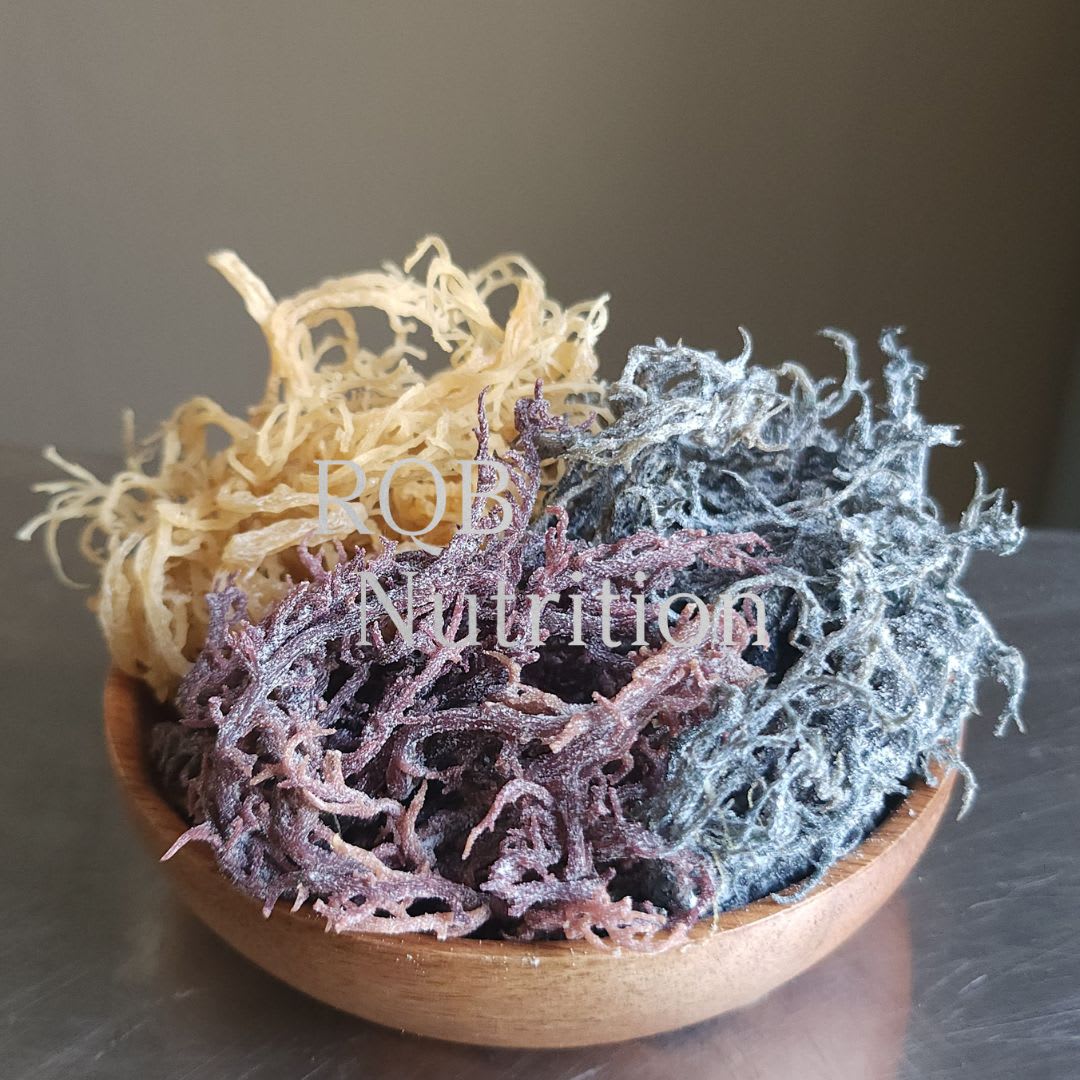 Wildcrafted Sea Moss Full Spectrum - Wildcrafted Sea Moss - RQB ...