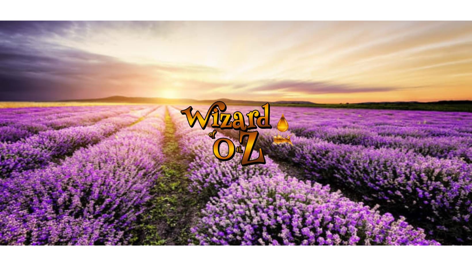 Wizard of Oilz | Aromatherapy Essential Oils & Skin Care Shop in Los ...