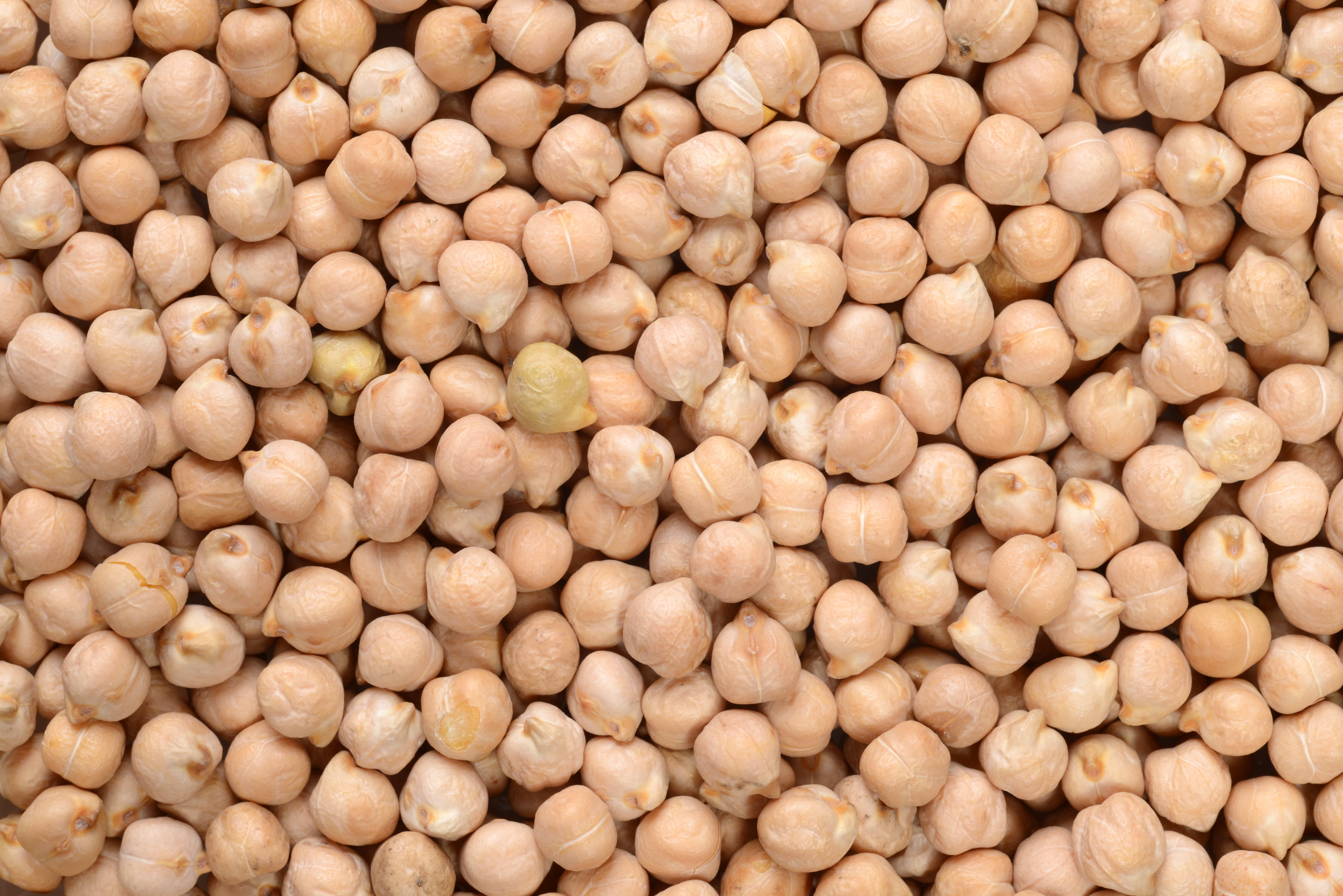 Chick Peas - Beans & Pulses - Weighsted | Zero Waste Sustainable Food ...
