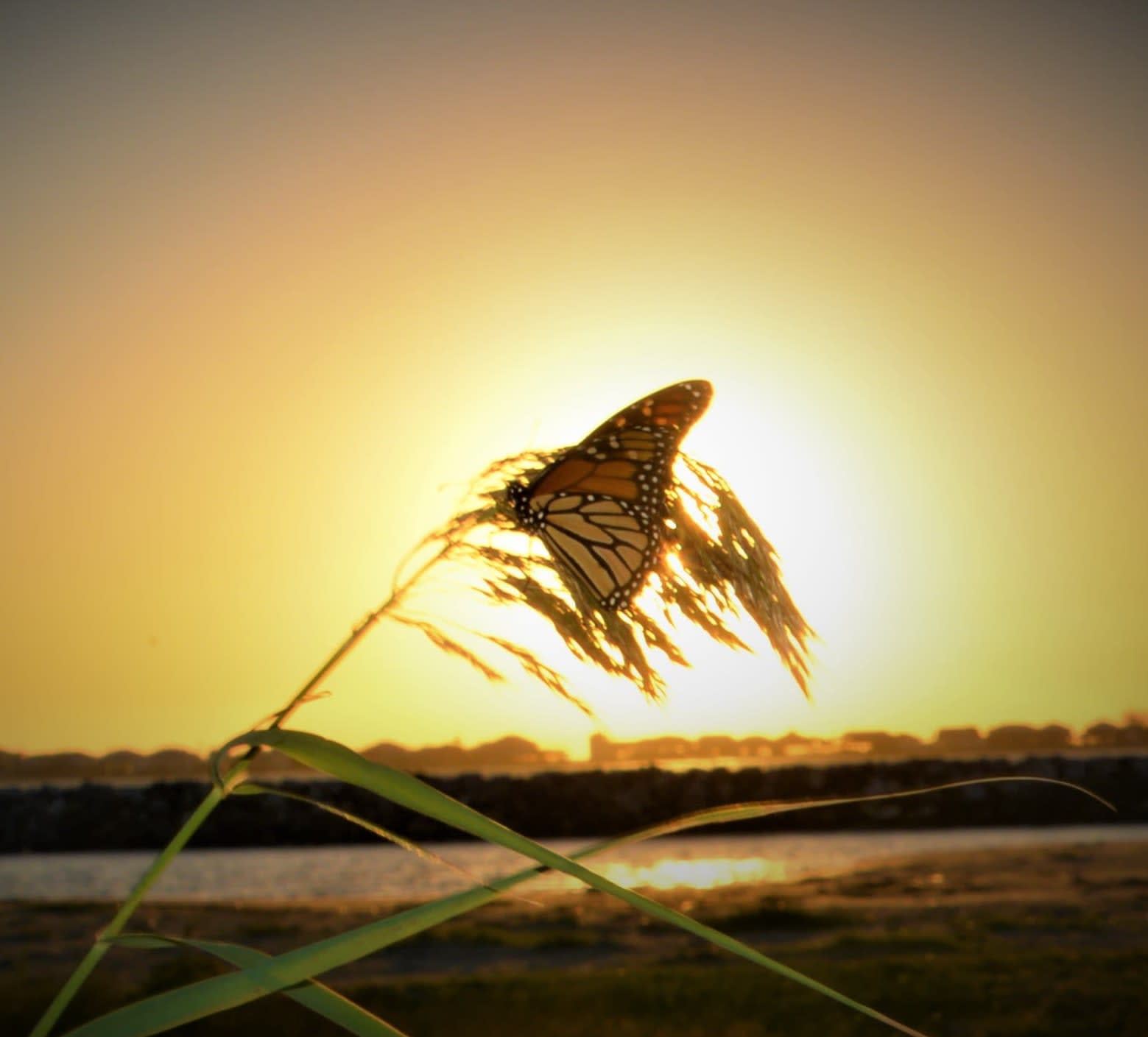 A Difference Maker Photography - Photographer | Lexington