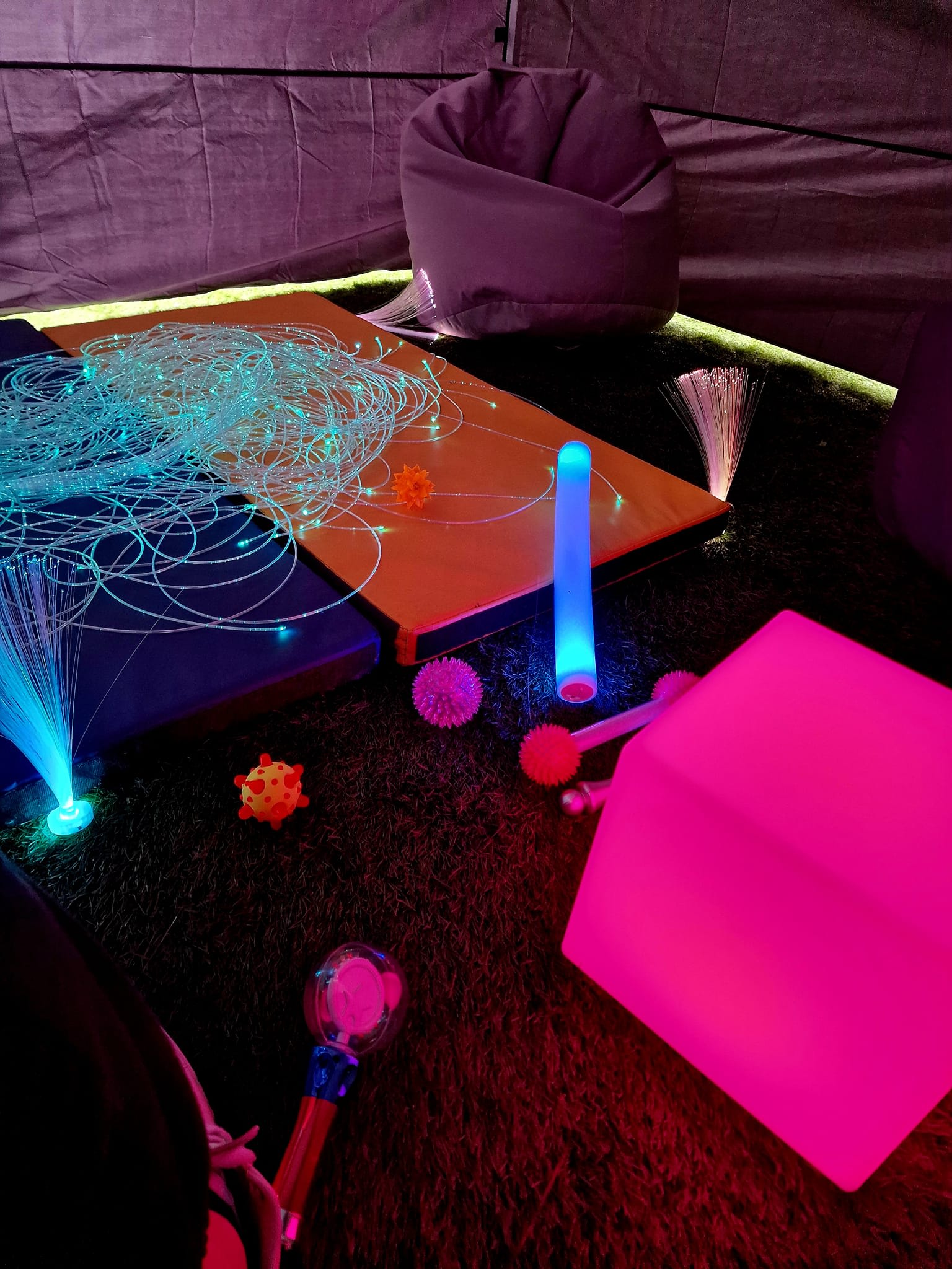 Your Destination for discovery and Sensory Enrichment in the New Forest