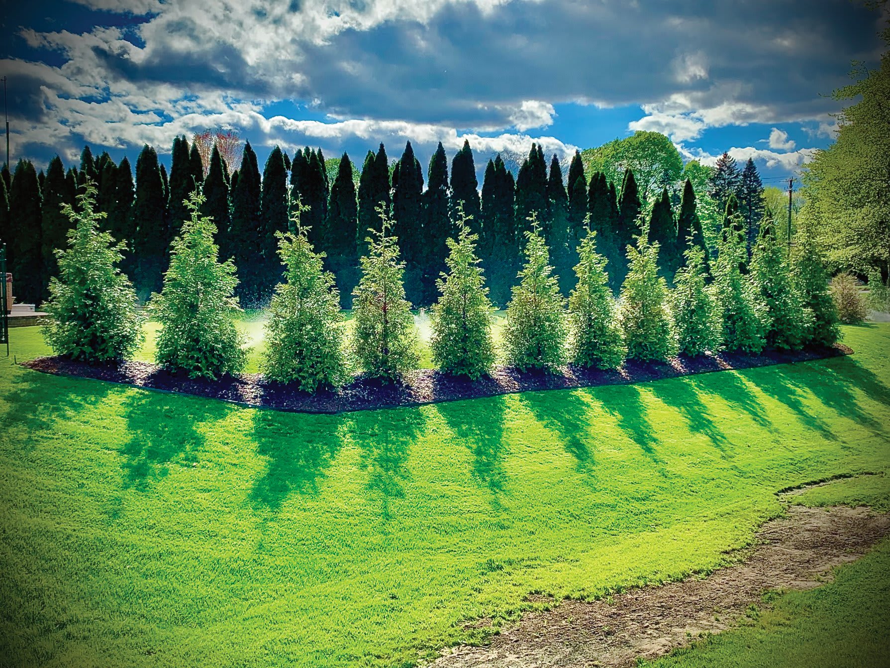 Greener Than Green | Landscaper in Commerce Township