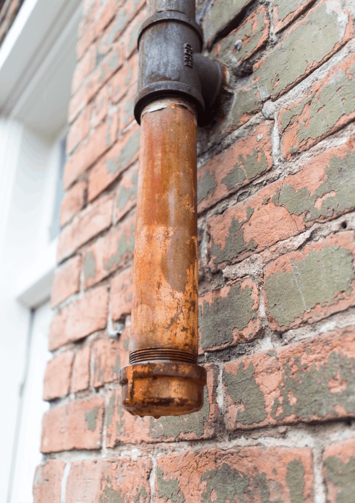 Descaling - Drain Services - Water Wolves, LLC | Drainage Specialist in ...