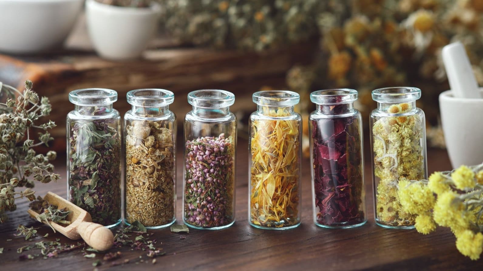 Memshala's Corner | Natural Herbs Store | in Augusta