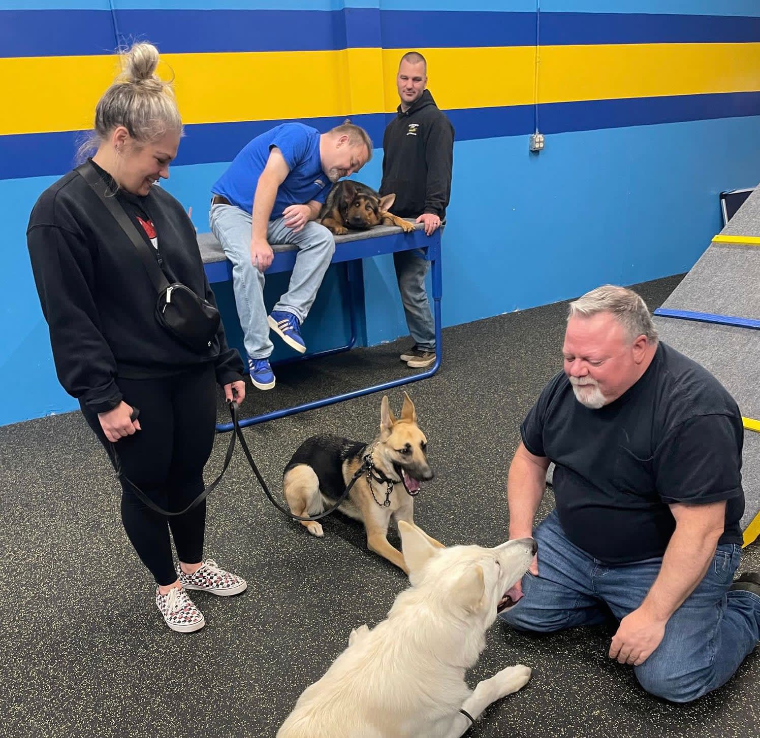 Discover The Doggy Dojo Community - The Doggy Dojo | Training and ...