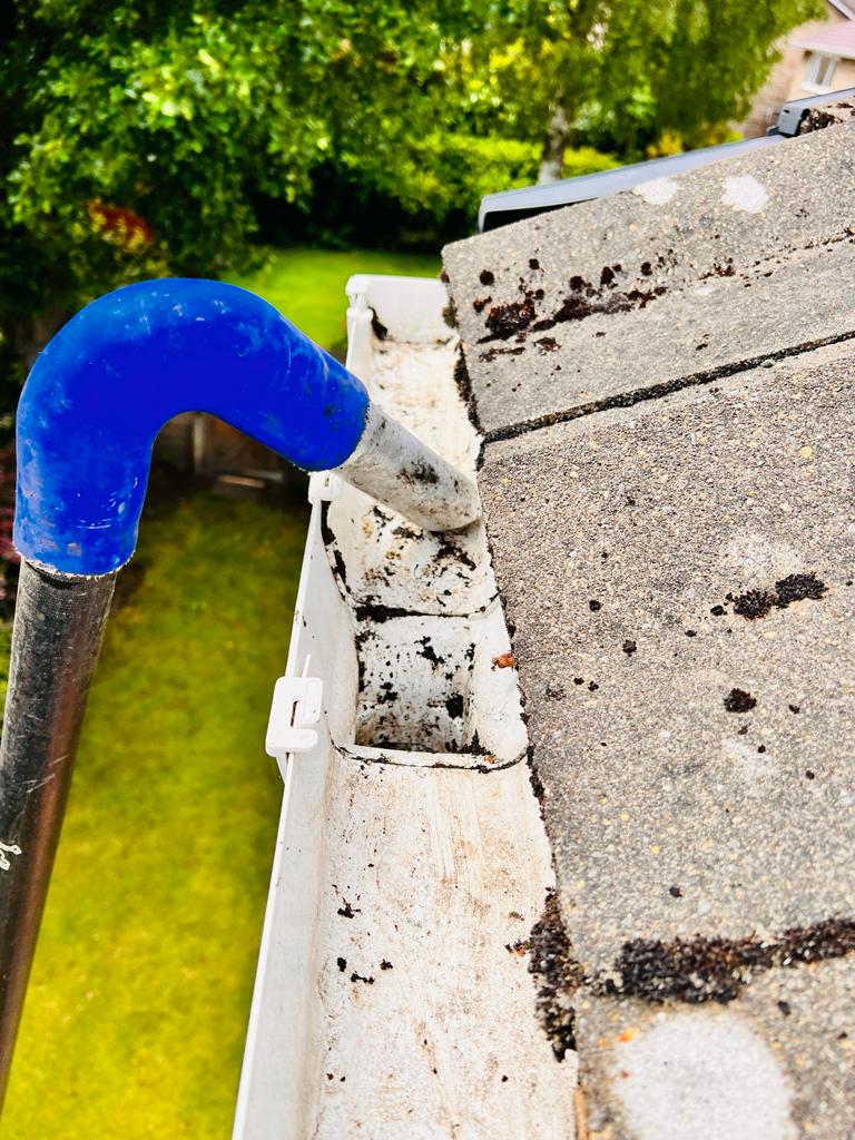 Gutter Cleaning - Our Services - Clean Shadow Window Cleaning Service ...
