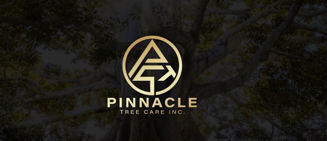 Pinnacle Tree Care Inc. | Tree Services | Santa Clarita