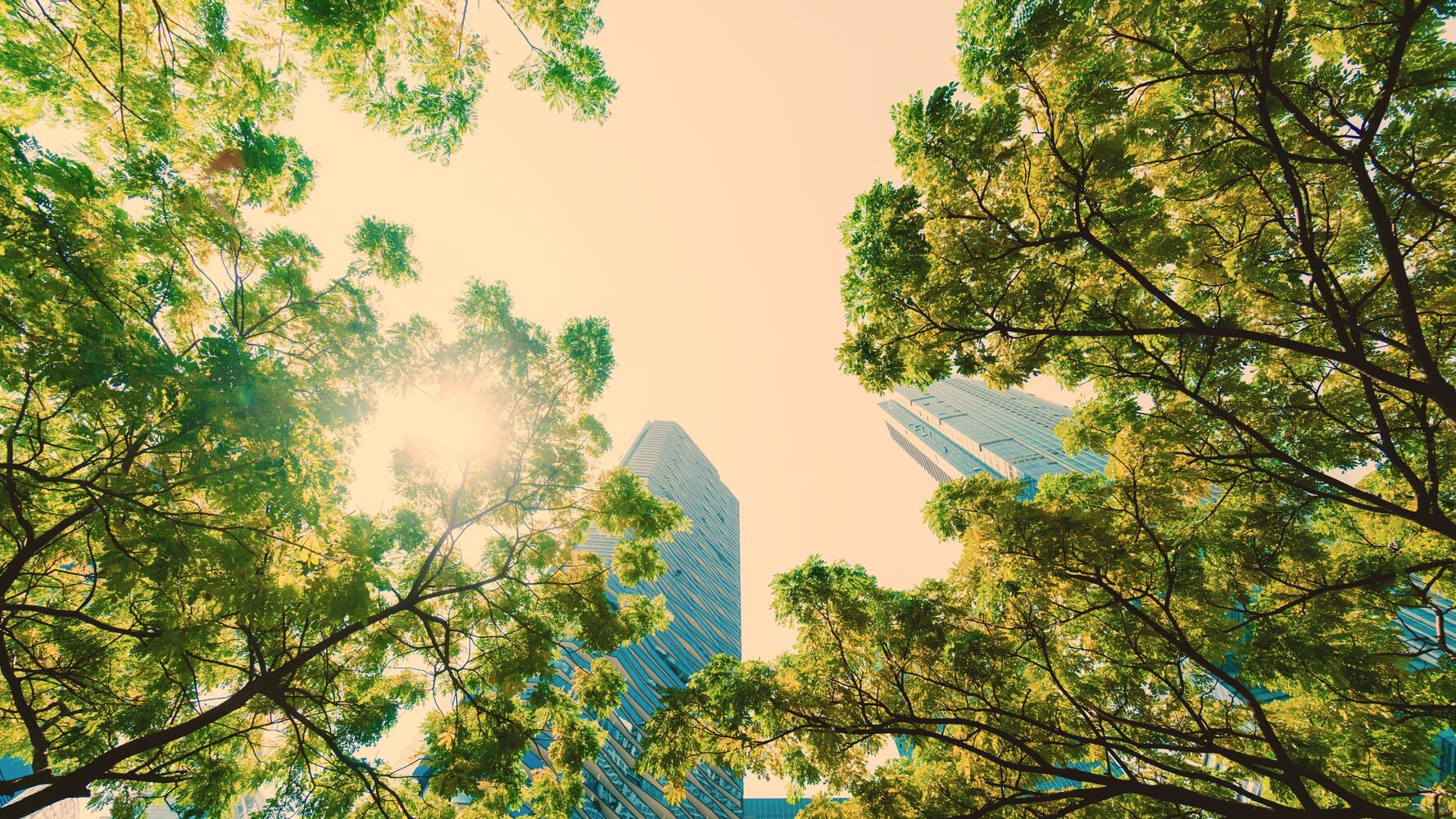 Ground Up Development - Nonprofit Organization in Denver