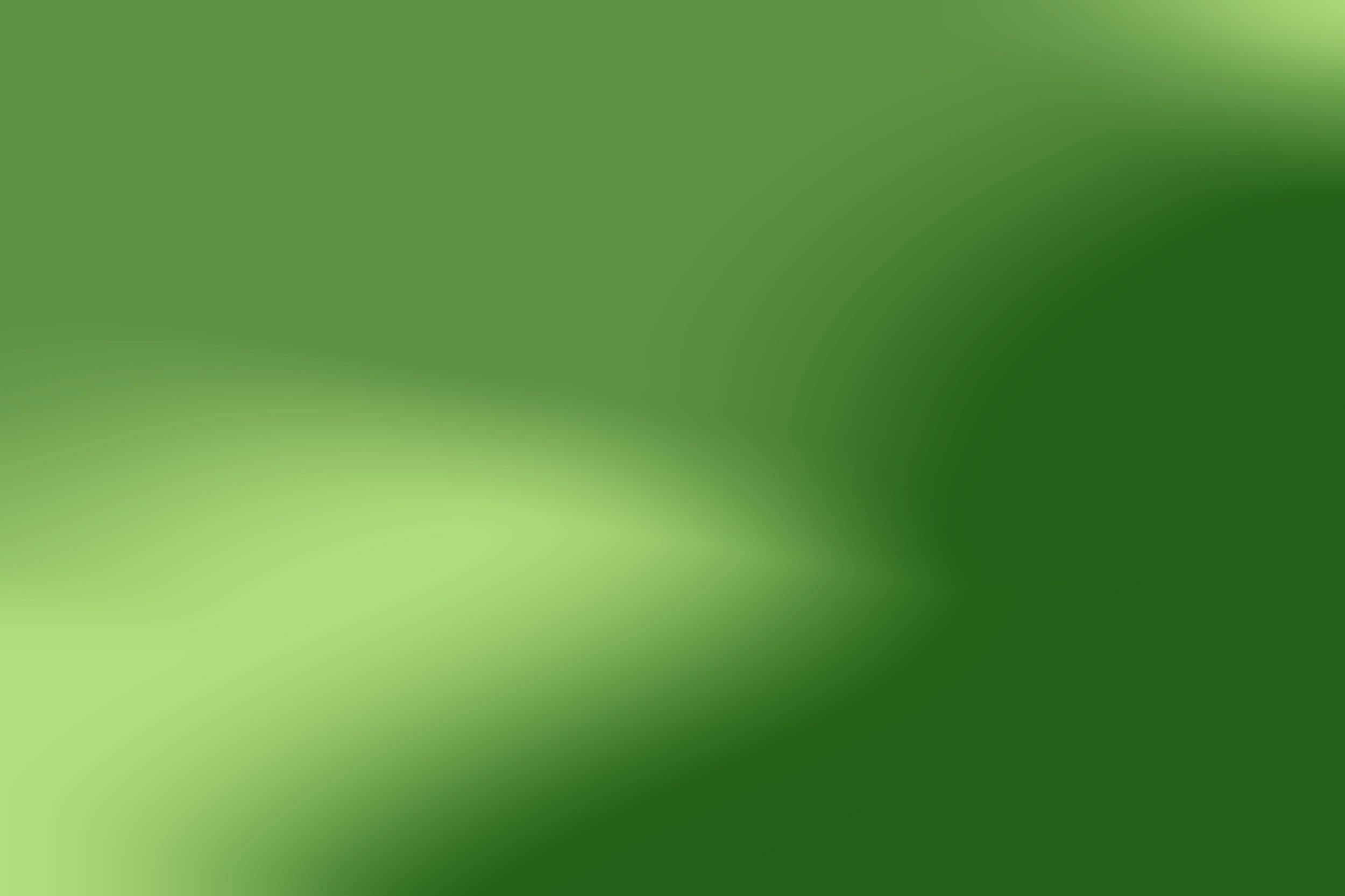 zenco-sun-valley-fast-business-registration-services-sun-valley