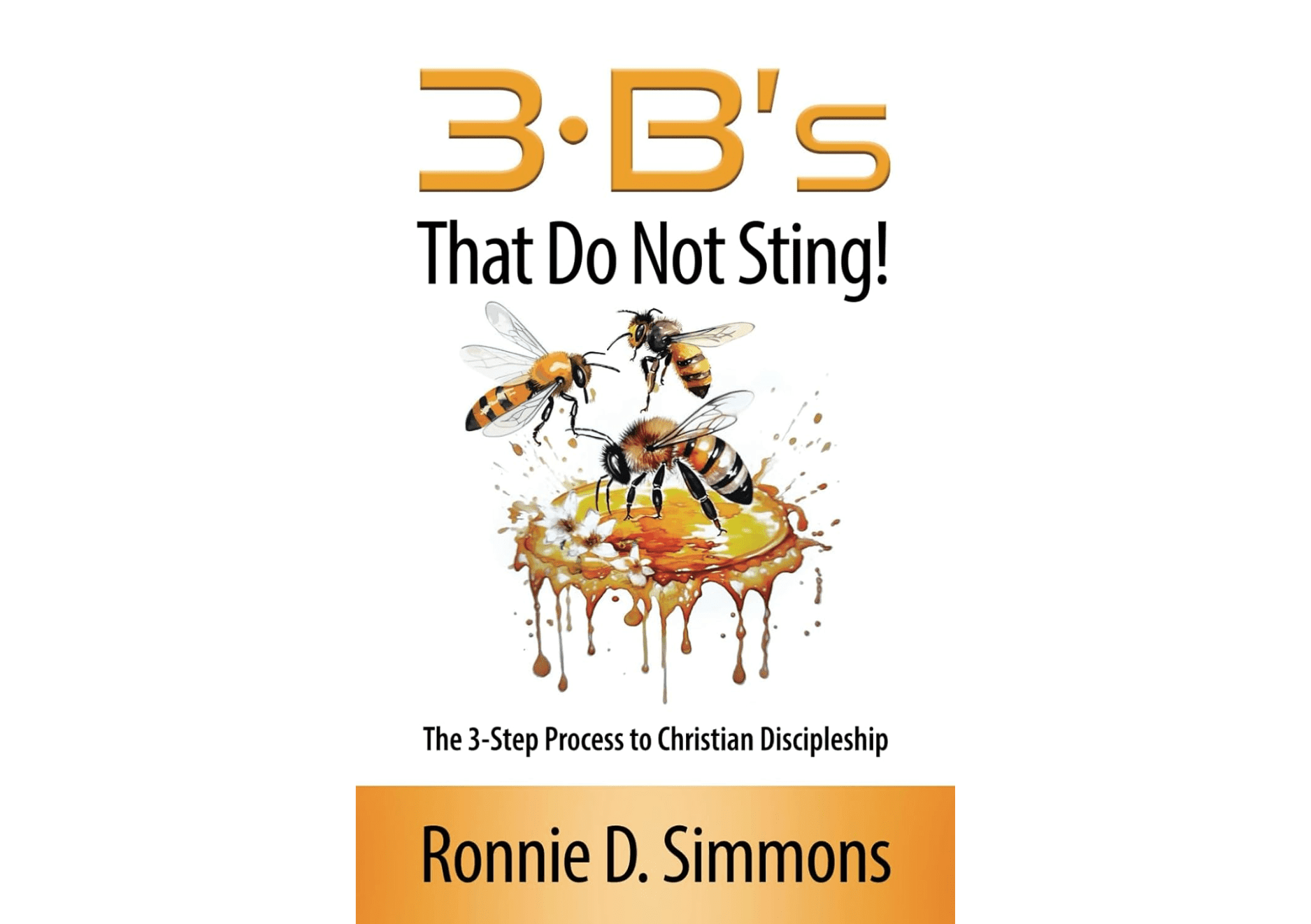 The 3 B's That Do Not Sting: The Three-Step Process to Christian ...