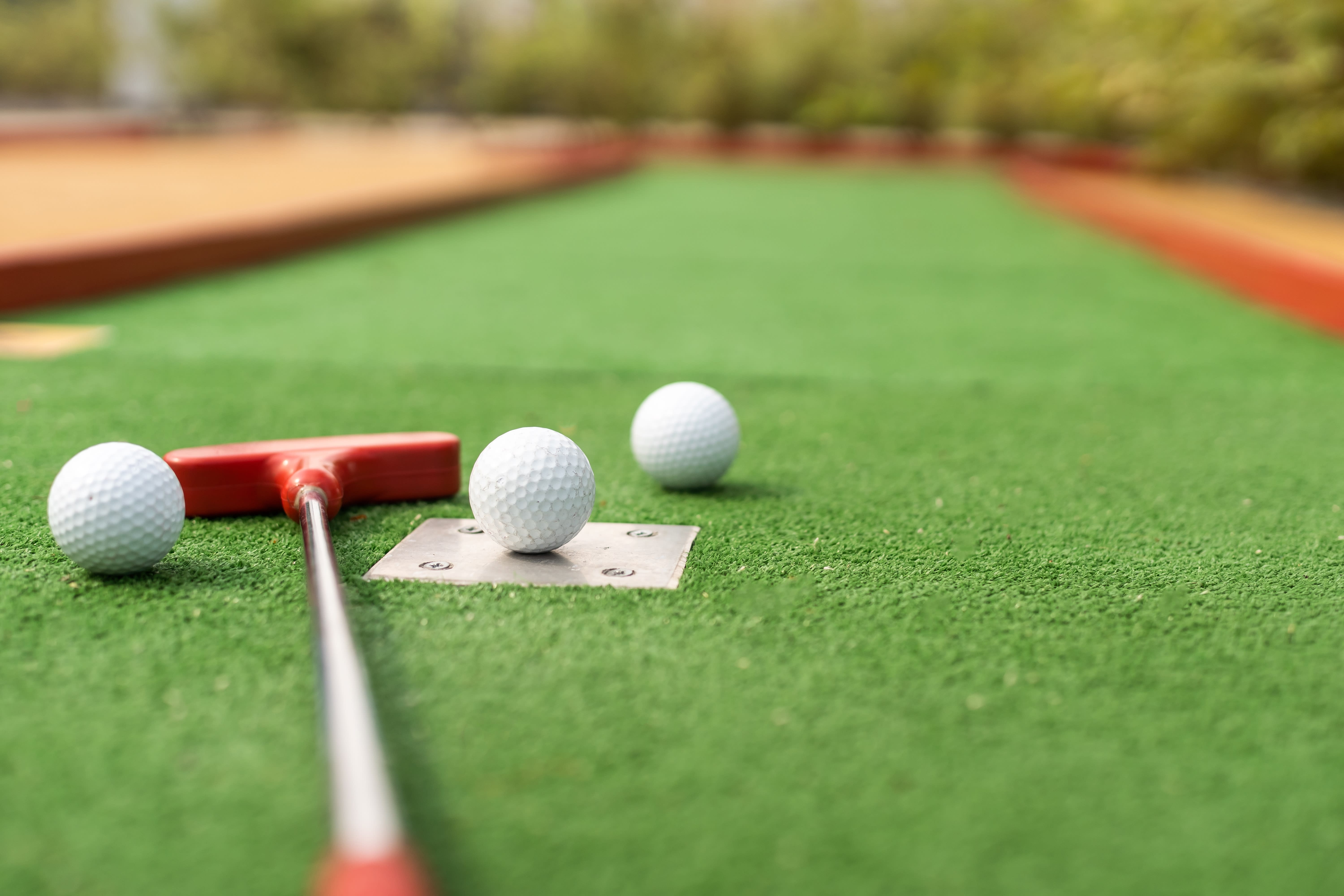 Mini Golf Party Events, LLC | Mini Golf Party Equipment Rental ...