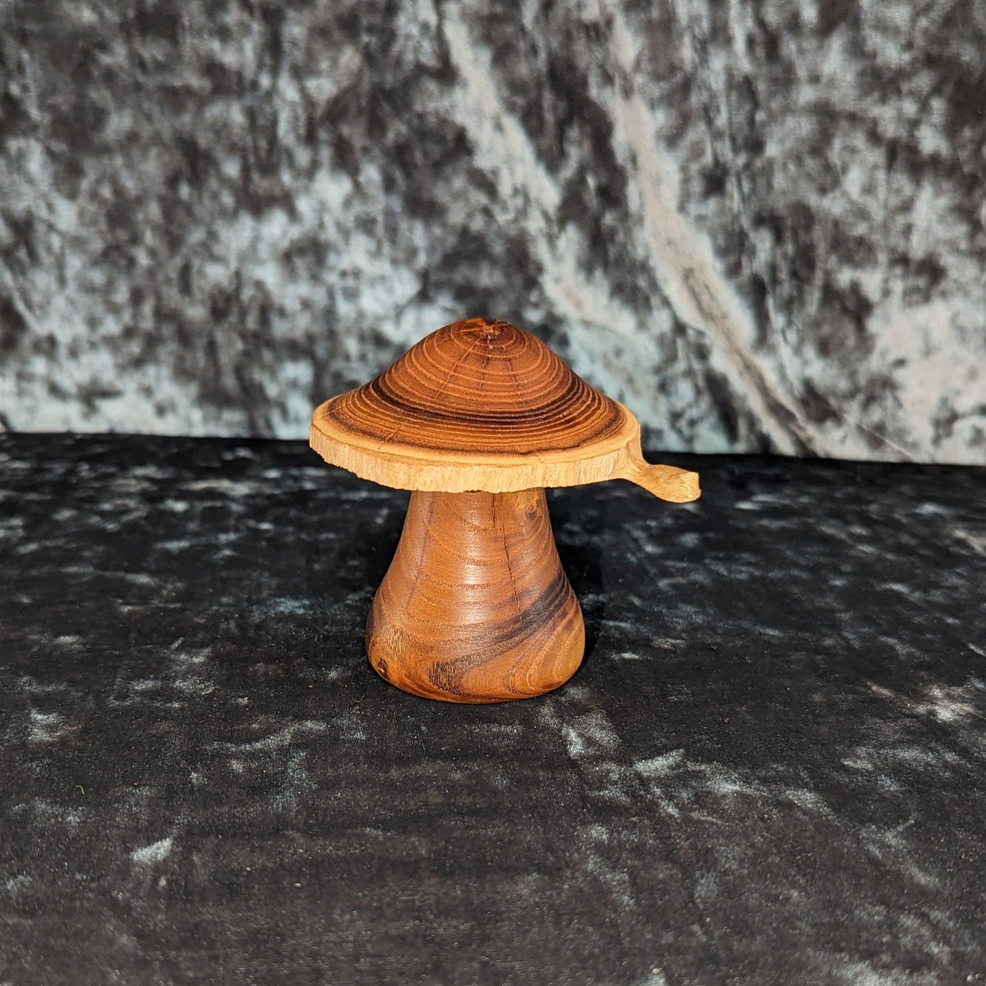 Mimosa Silk Wood Mushroom - Mushrooms - Serene Being Works | Artist in ...