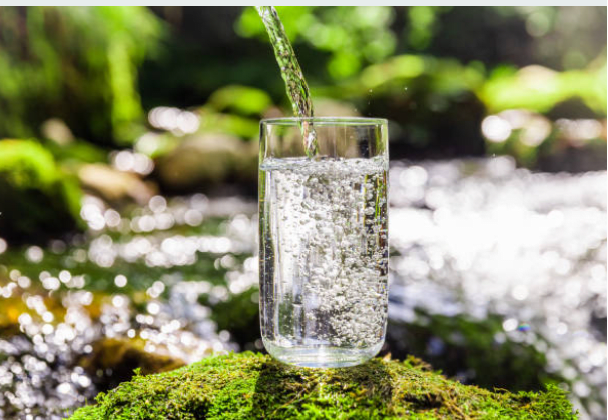 Water Tree Oak Forest | Healthy Water Supplier | Houston