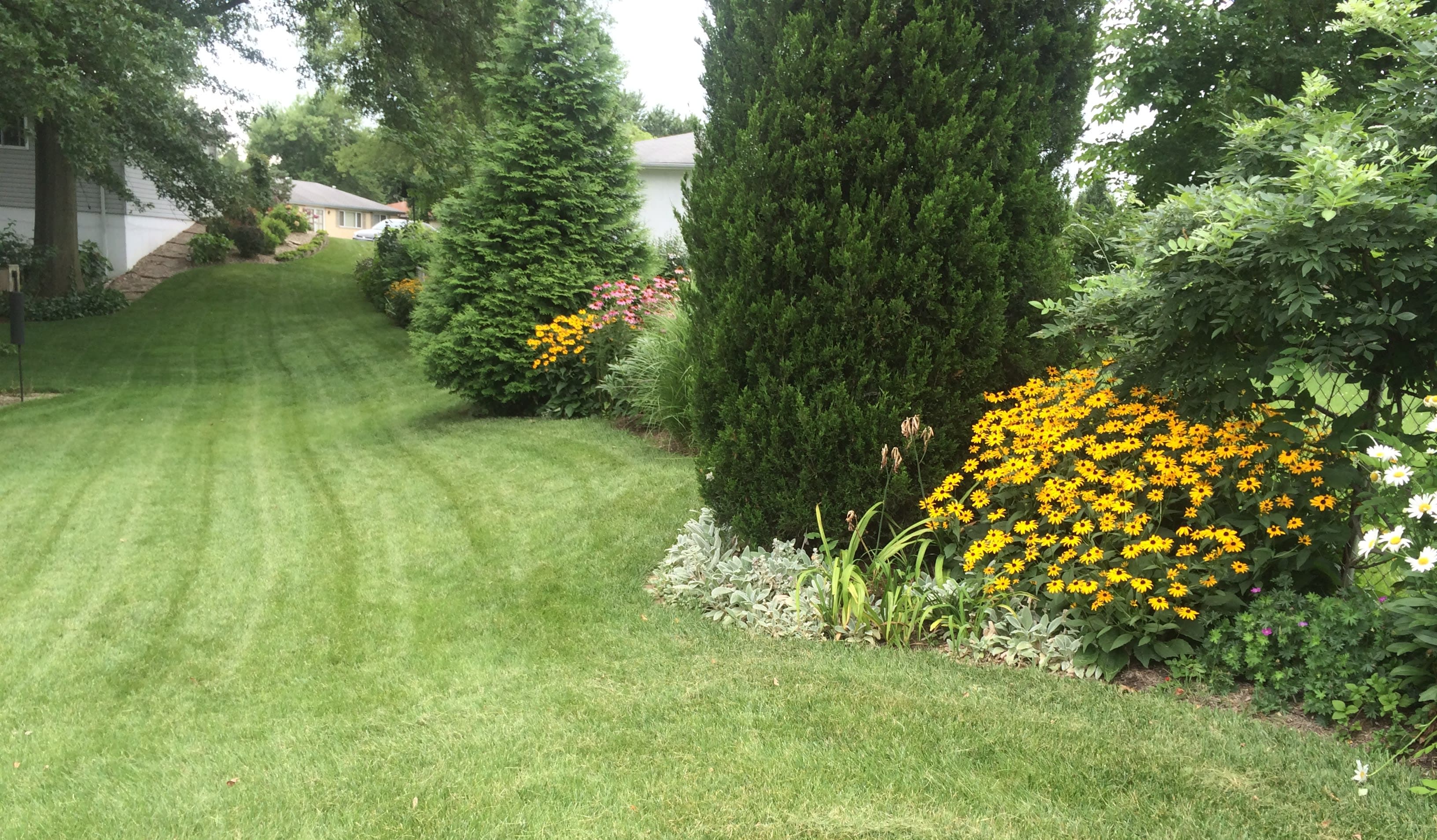 King Arthur Nursery, LLC | Landscaping & Backyard Nursery | Oakville