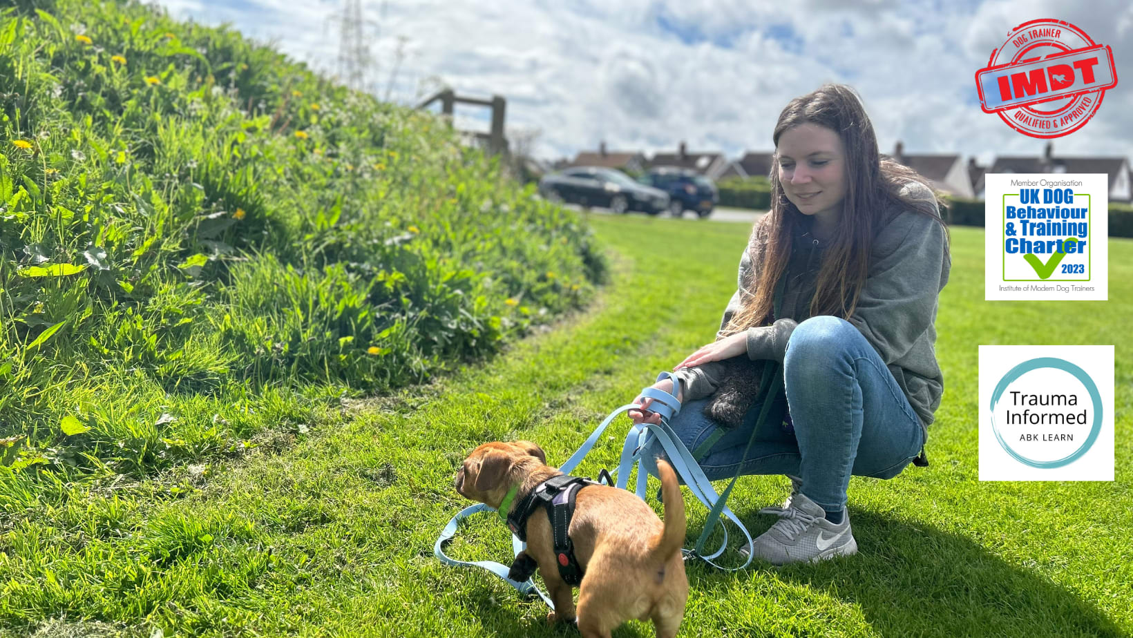 Lucy Green Dog Training - Dog Training