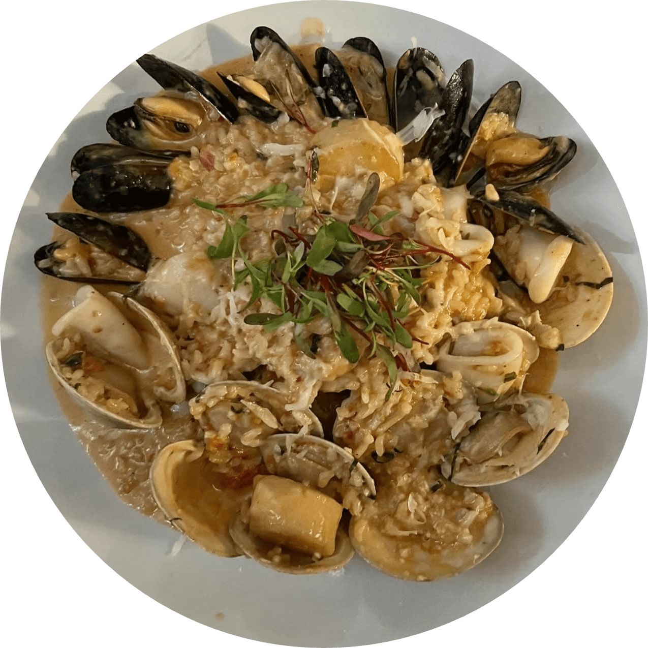 Excellent Italian Restaurant in Branford - Mi Bella Restaurante ...