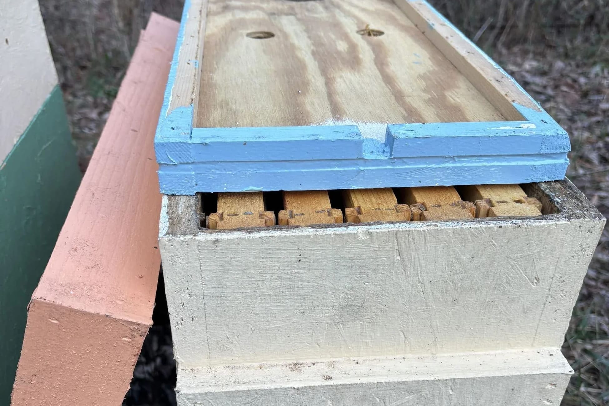 5-Frame Nucs - Bees - Lil’Ducks Apiaries | Beekeeping, Honey & More ...
