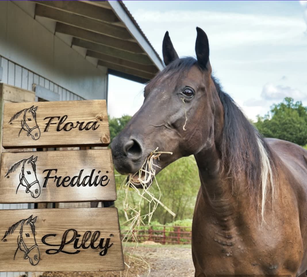 Stable Name Plaques from £15.00 - Handcrafted Products - Meadowside ...