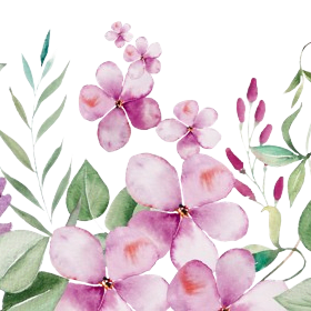 Cognitive Behavioral Therapy Talk - Psychiatric Mental Health - MindSet ...