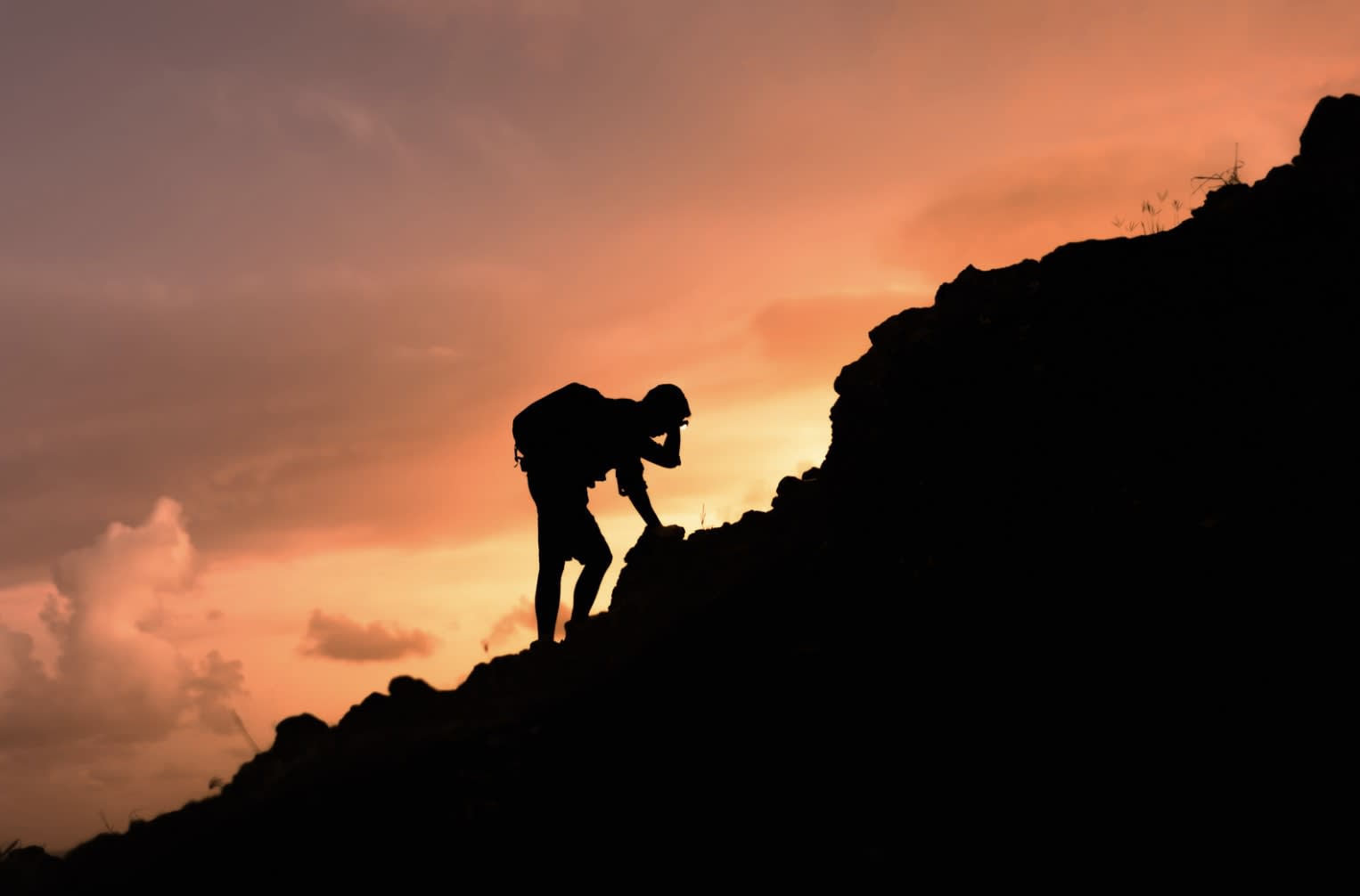 Elevating Individual Lives with Louis Legacies - Louis Legacies | Life ...