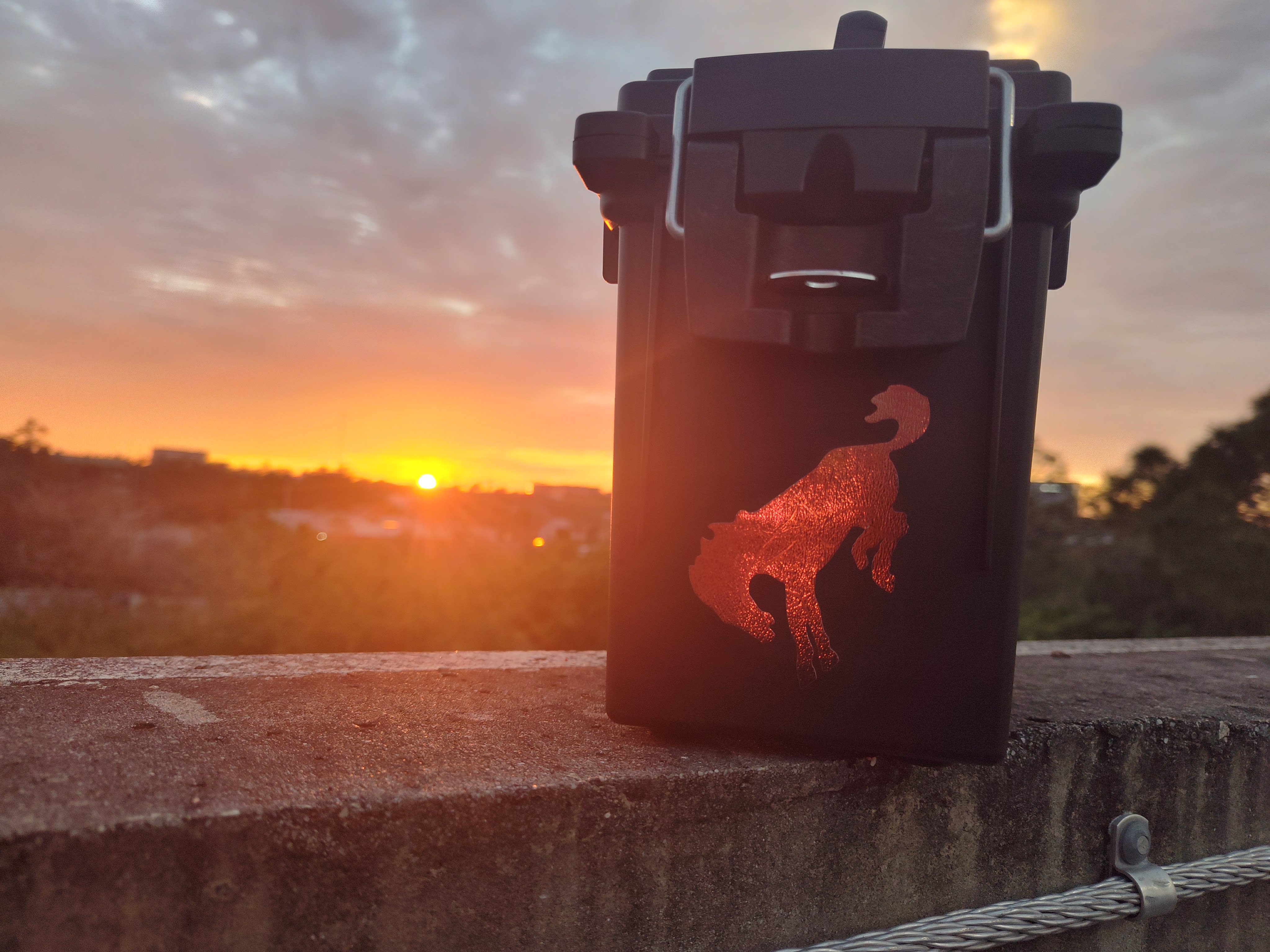 Buck Buck Bronco QP (Wild Wild West) - Quack Packs - Quacker Packs Pack ...