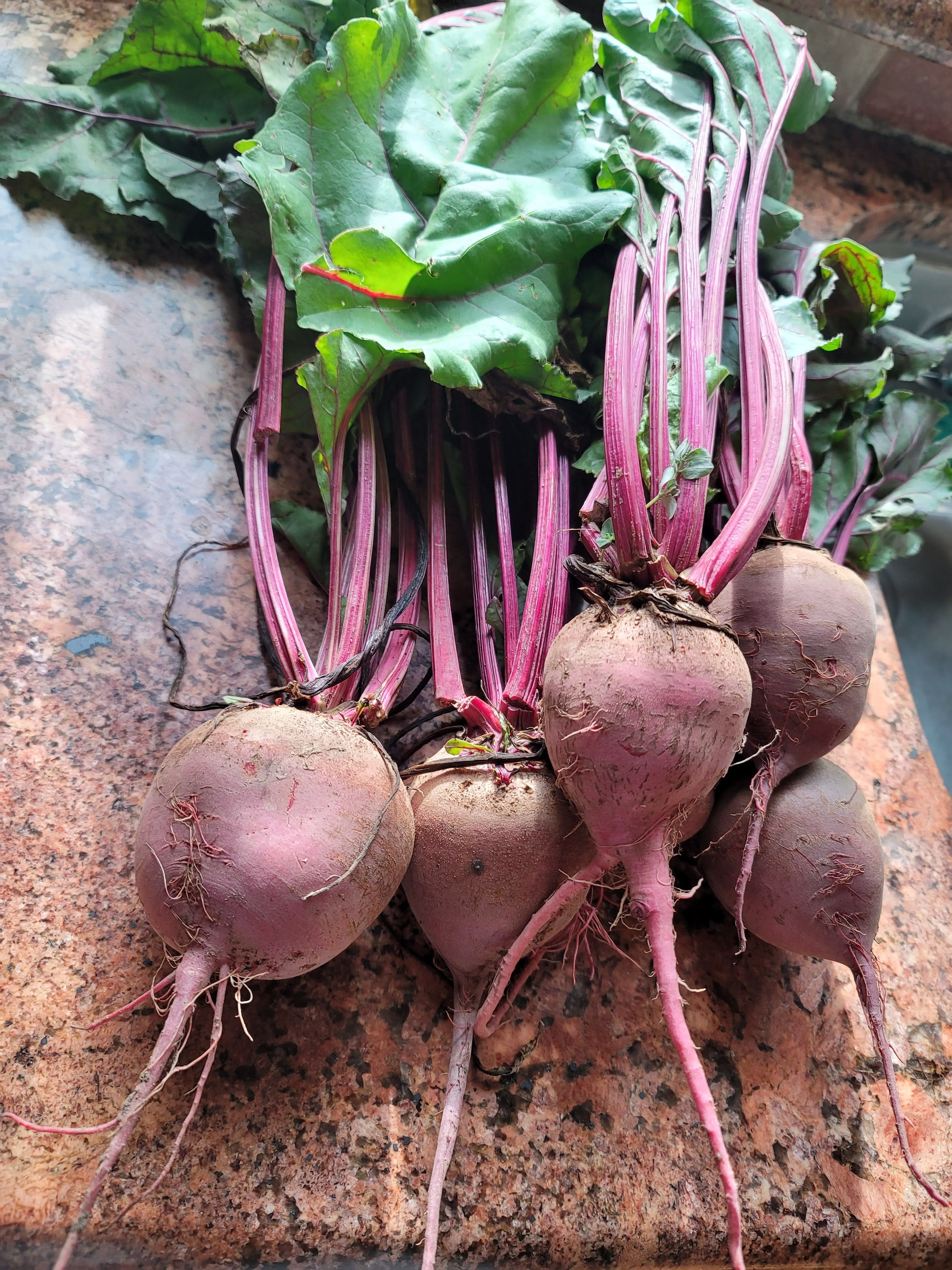 Food Prep - Educational Farm Services - Asé Iya Root Ranch ...