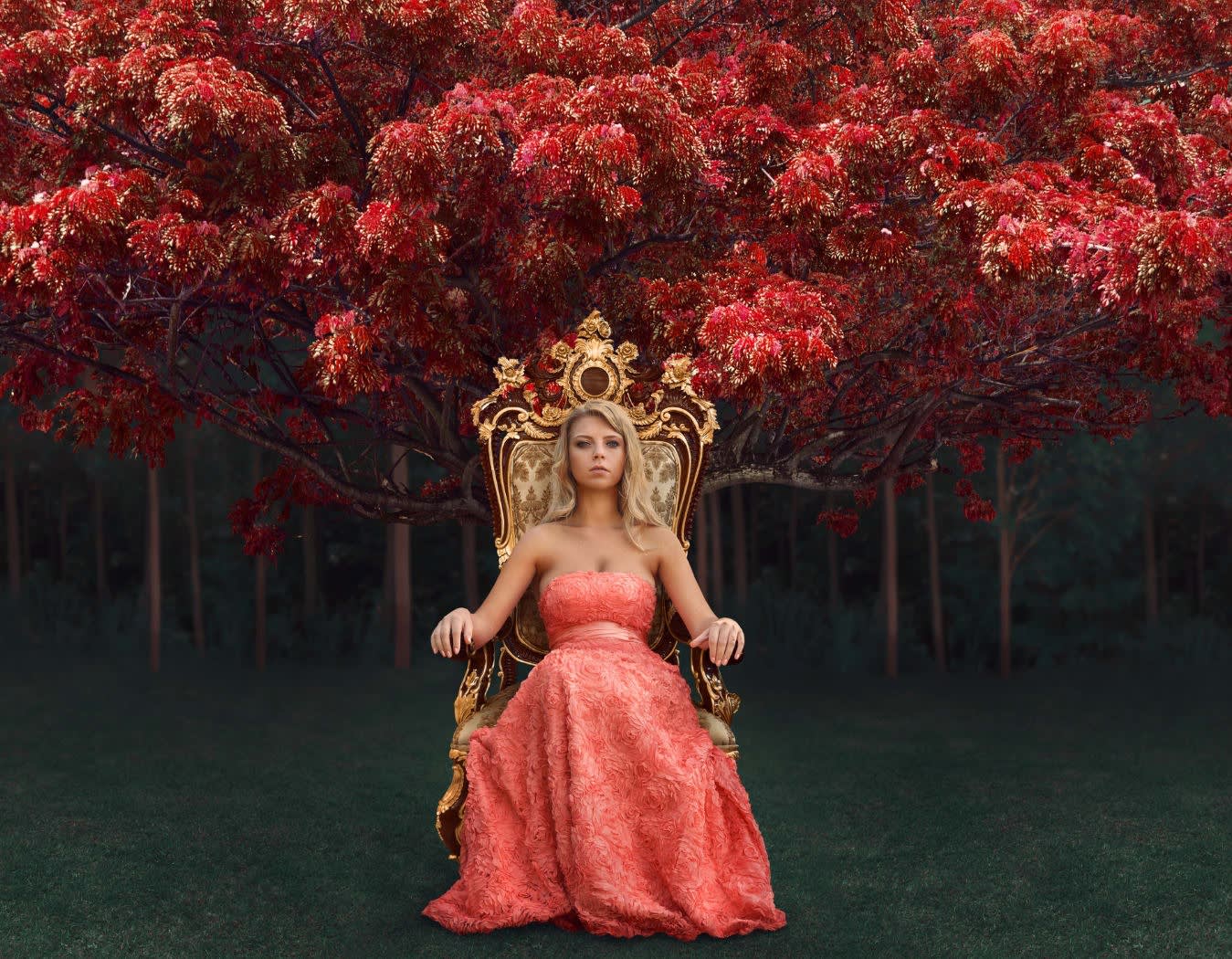 Throne Chair - Party Rentals - Top Tier Party Rentals, LLC | Party ...