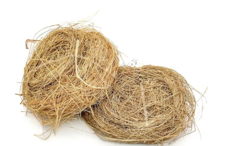 Kain-Kain - Orisa Items & Herbal Supplies - Ifanaija NYC | Your ...