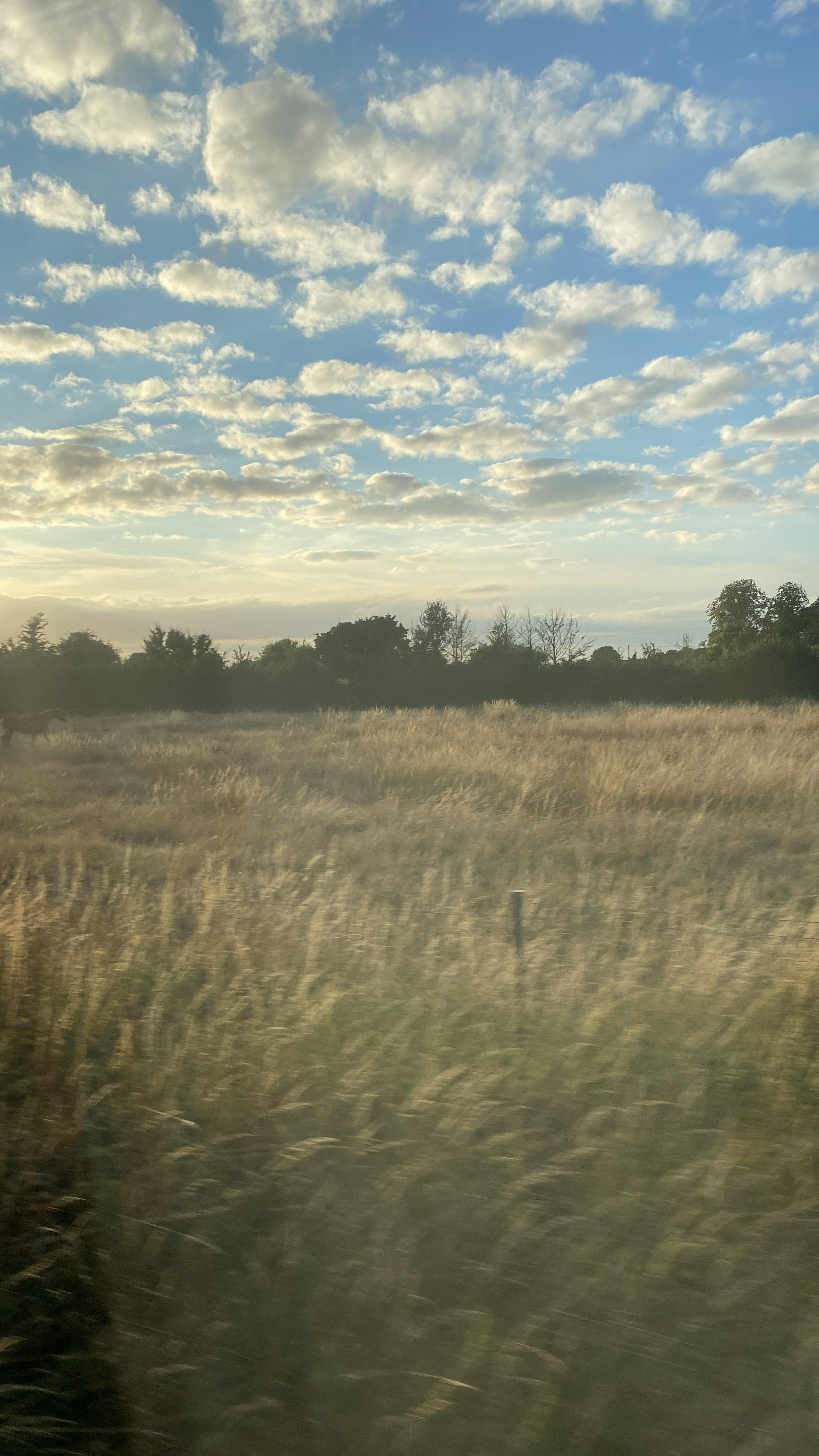 Zak Asgard Writer | Content Writing | London